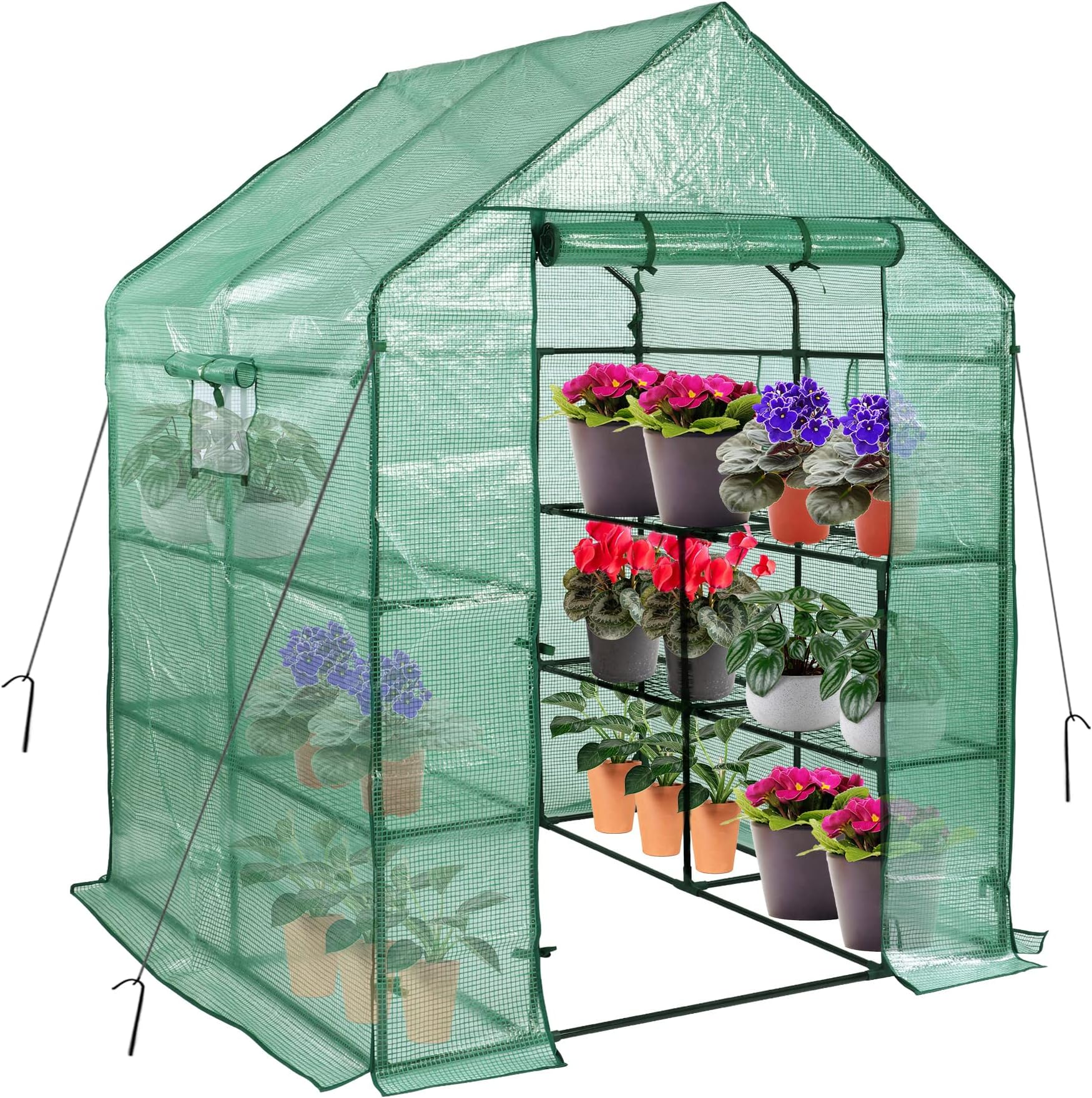 Amazon.com : Greengro Greenhouse, 56 x 56 x 75'' Greenhouses for ...