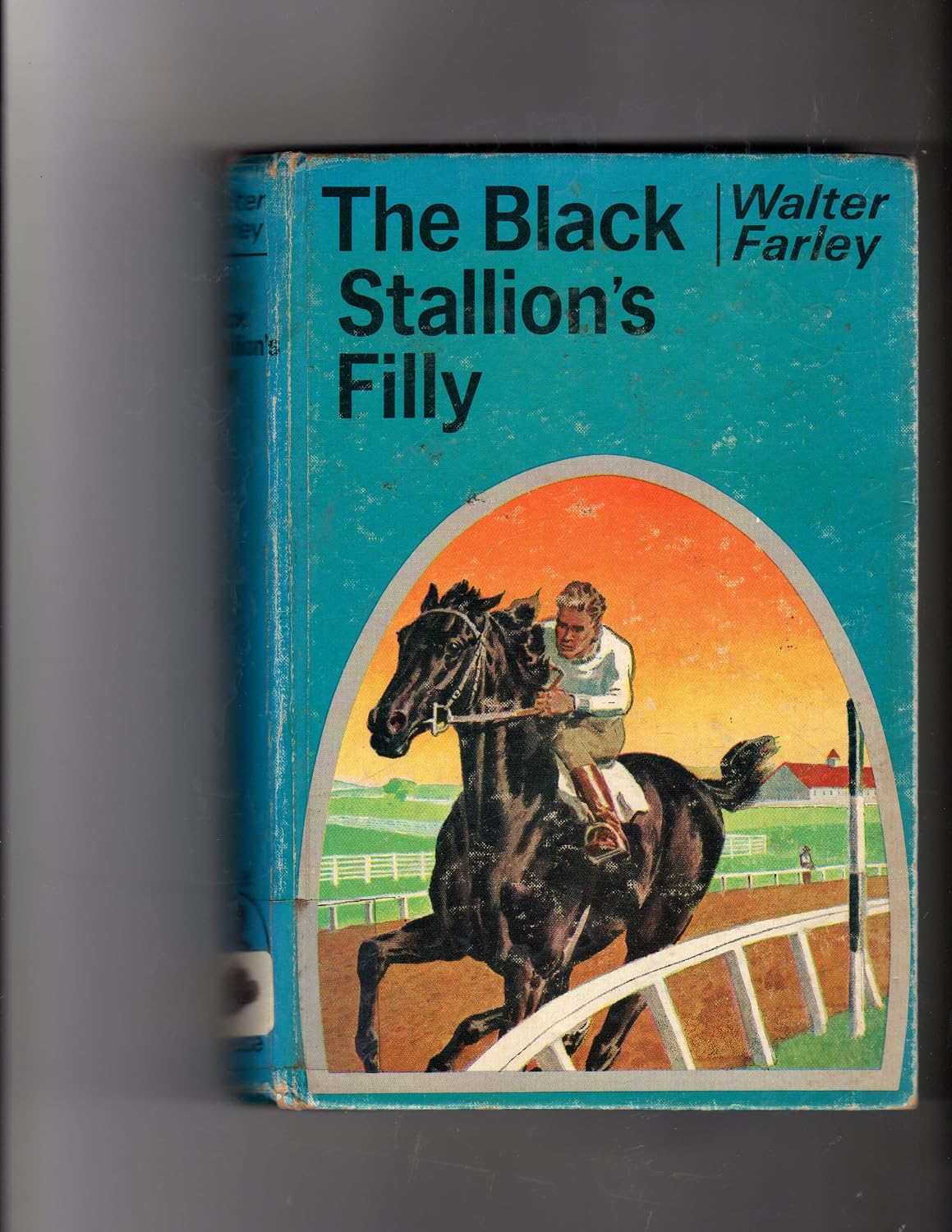 The Black Stallion's Filly: farley, walter: Amazon.com: Books