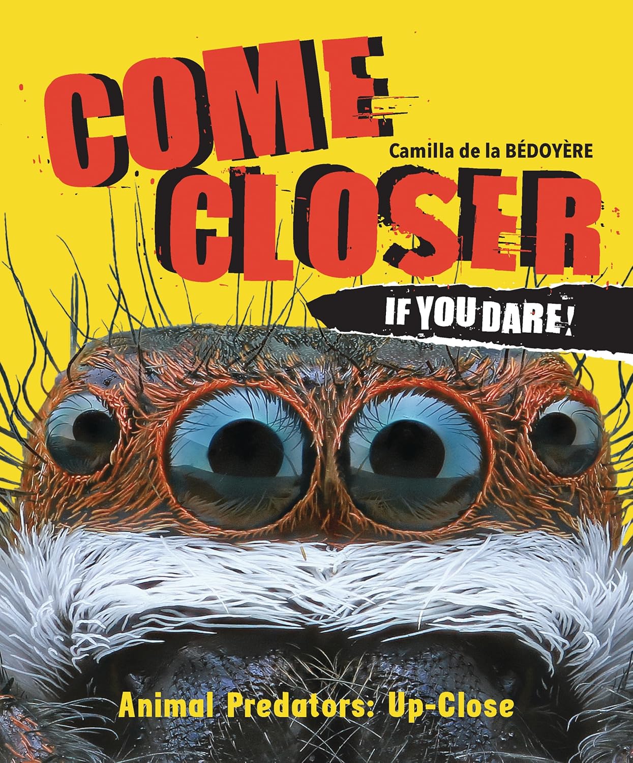 Come Closer If You Dare! (Animal Predators: Up Close): Bedoyere ...