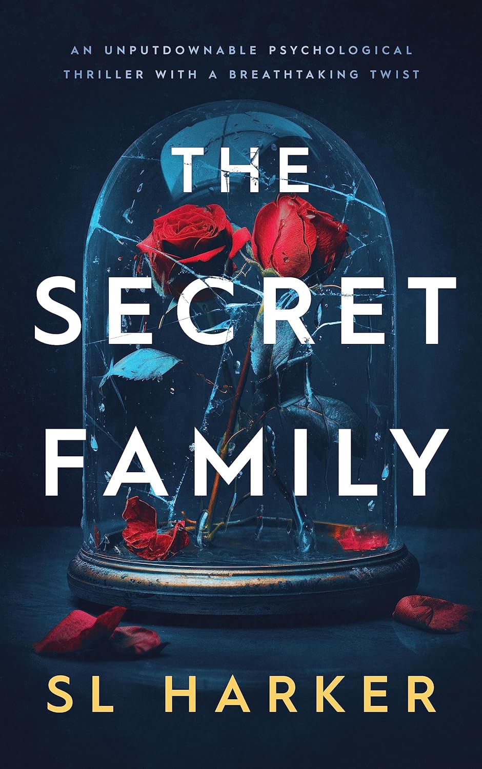 The Secret Family: An unputdownable psychological thriller with a ...
