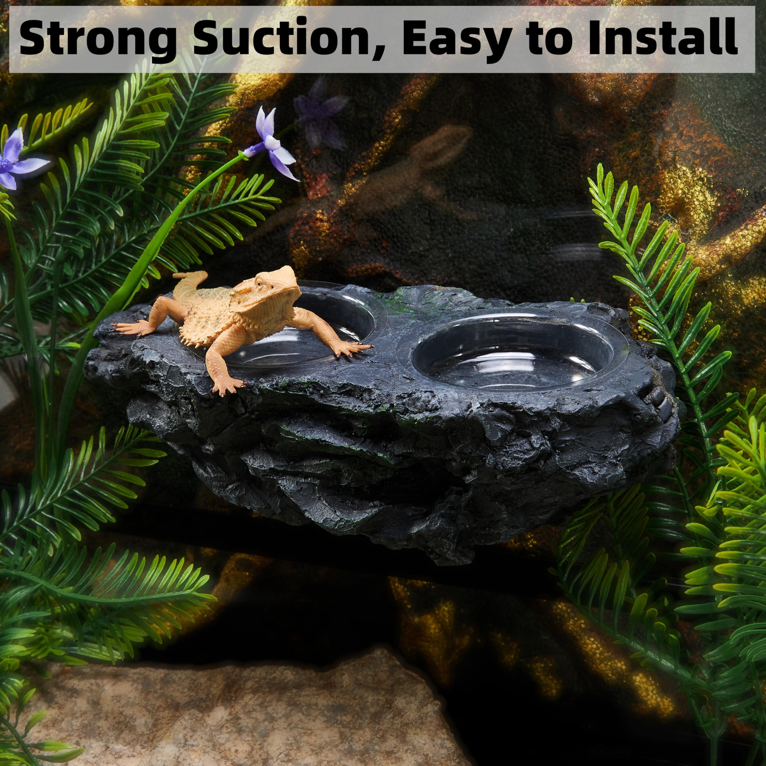 Snapklik.com : DXOPHIEX Double Bowl Reptile Water Dish Reptile Water ...