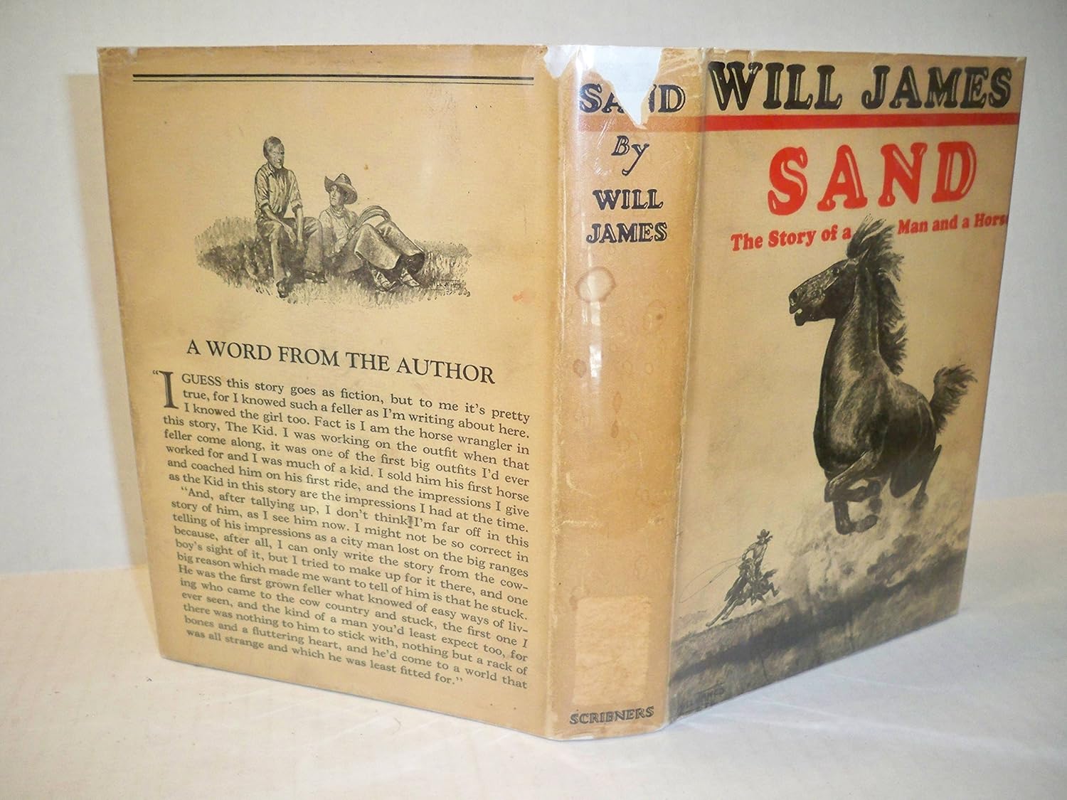 Sand: james, will: 9789997403377: Amazon.com: Books
