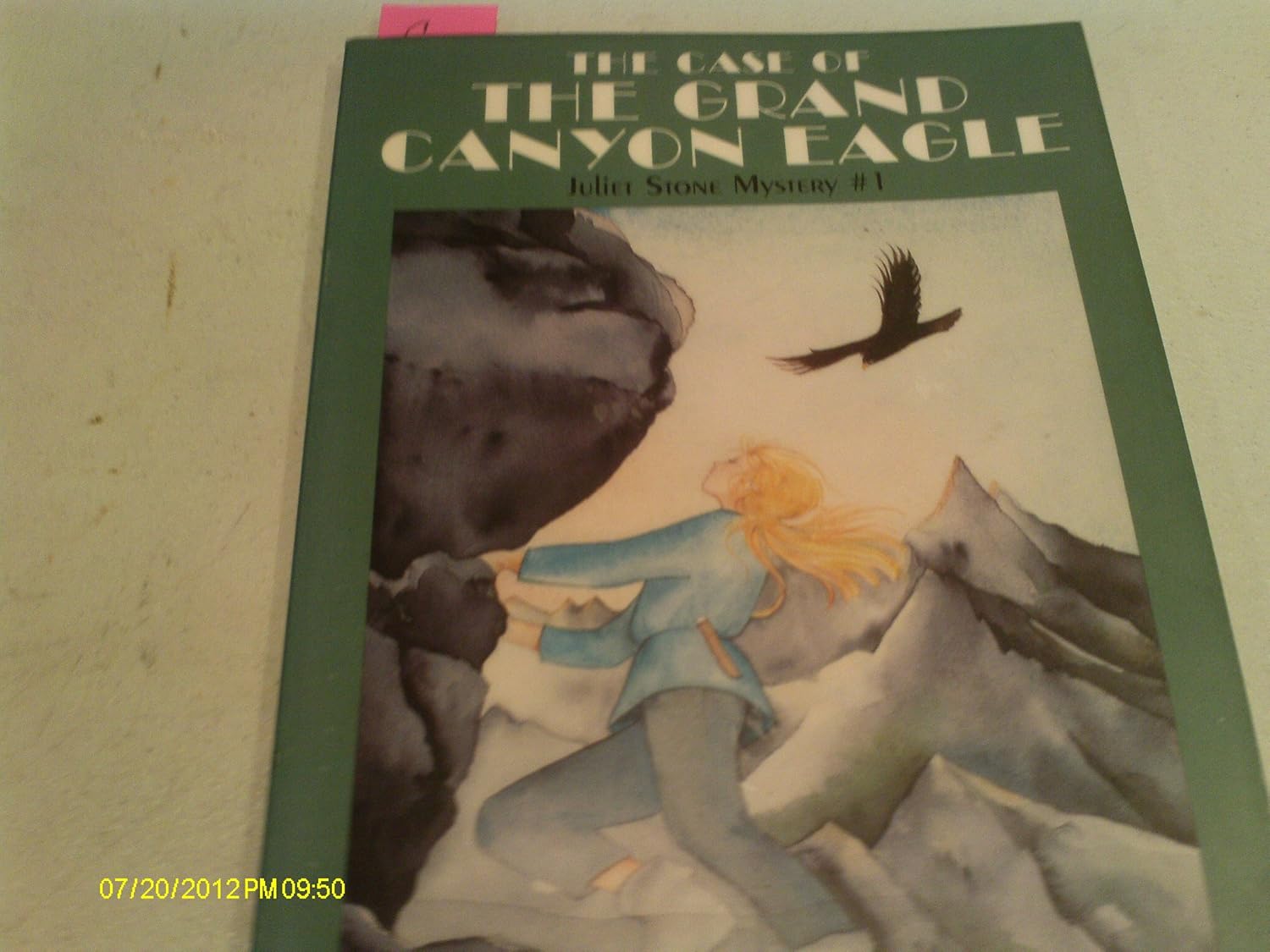Buy The Case of the Grand Canyon Eagle: Juliet Stone Mystery (A Juliet ...