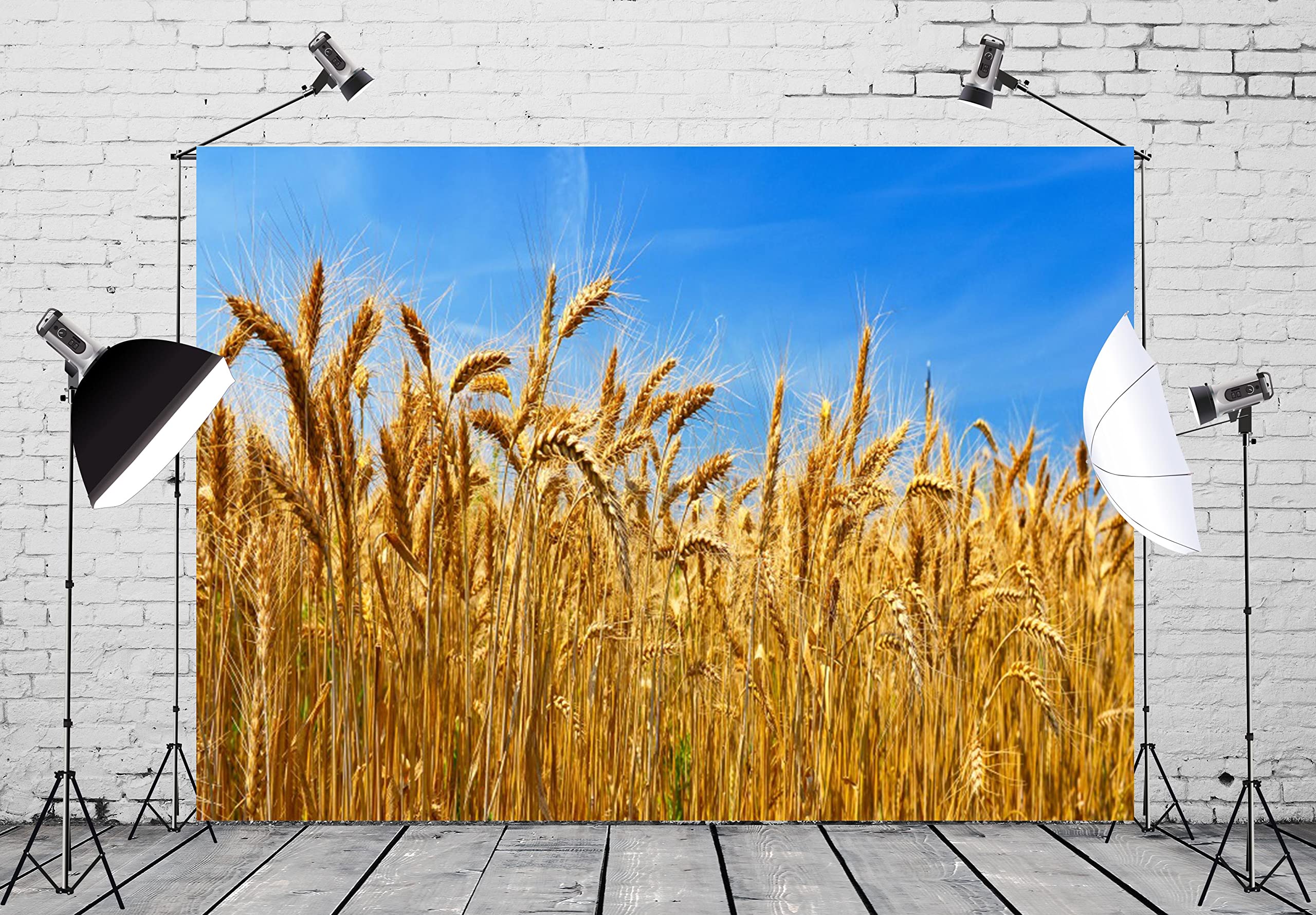 Wheatfield Wallpaper