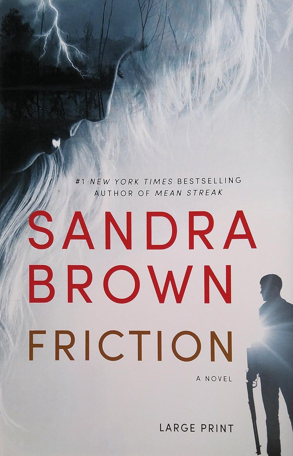 Amazon.com: Friction (LARGE PRINT HARD-COVER): 9781629535807: SANDRA ...