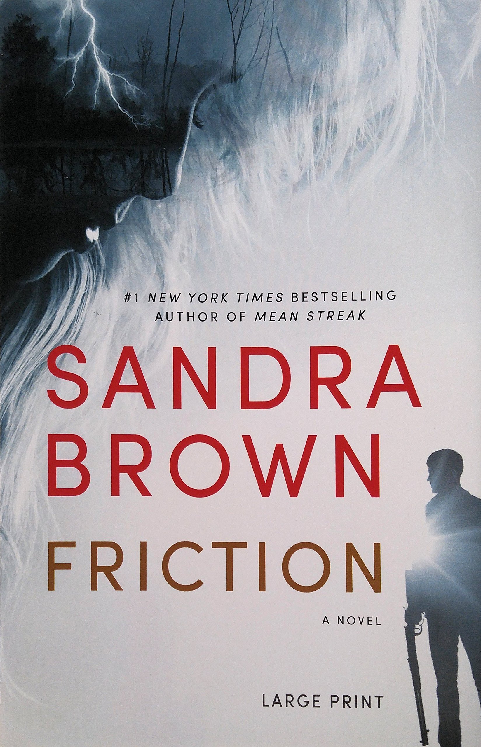 Amazon.com: Friction (LARGE PRINT HARD-COVER): 9781629535807: SANDRA ...