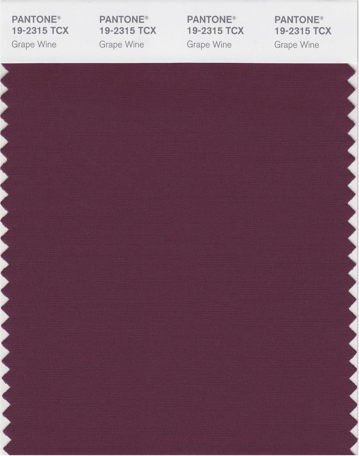 Amazon.com: PANTONE Smart 19-2315X Tarjeta de muestra de color, vino de ...