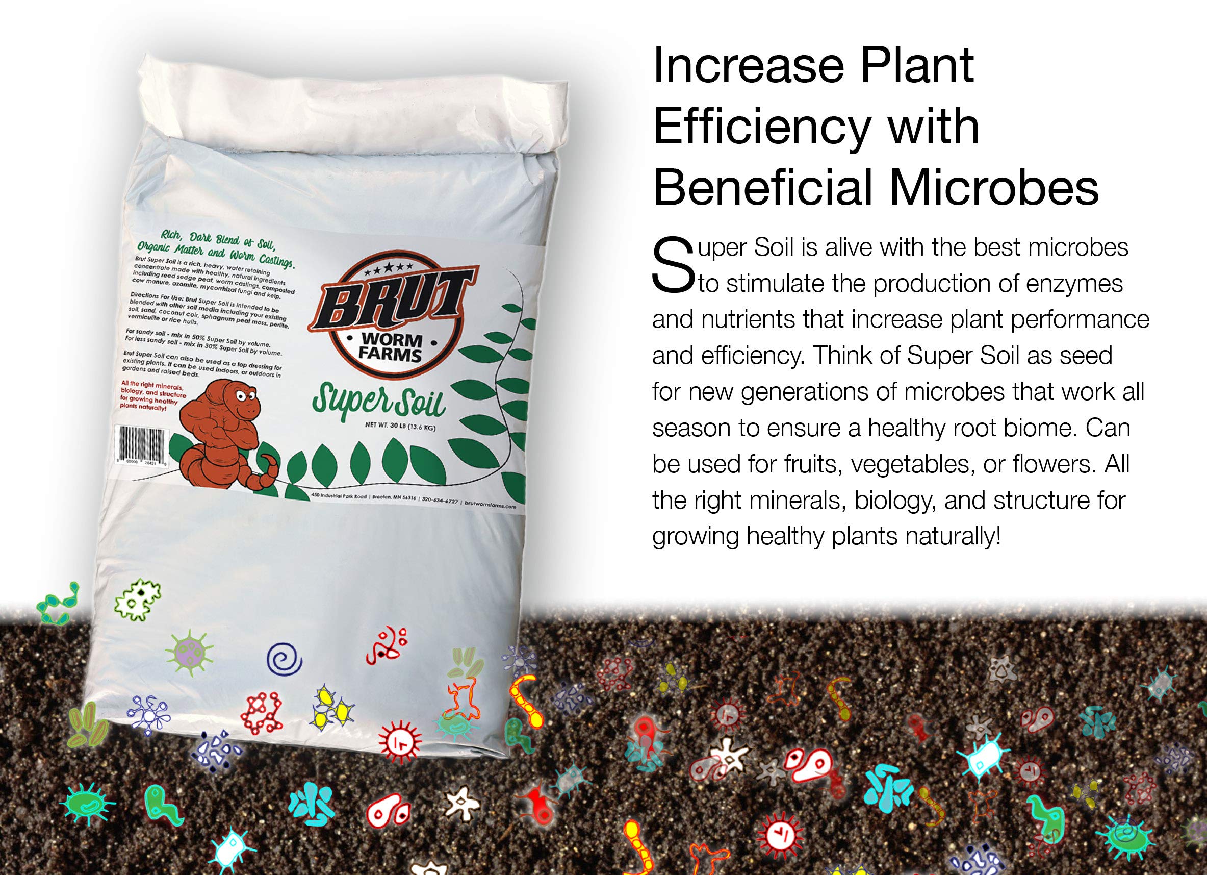 Buy Brut Super Soil Indoors Outdoors Complete Rich, Dark Healthy ...