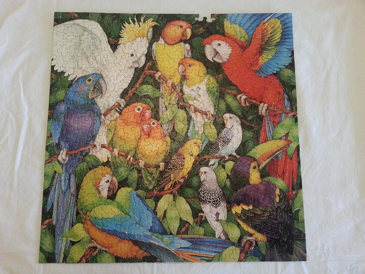 Amazon.com: Springbok "Jungle Birds" Puzzle : Toys & Games
