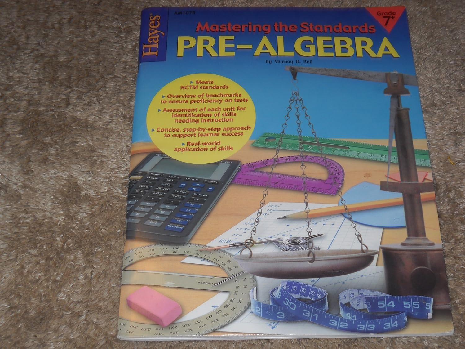 Amazon.com: Hayes - Mastering the Standards: Pre-Algebra : Office Products