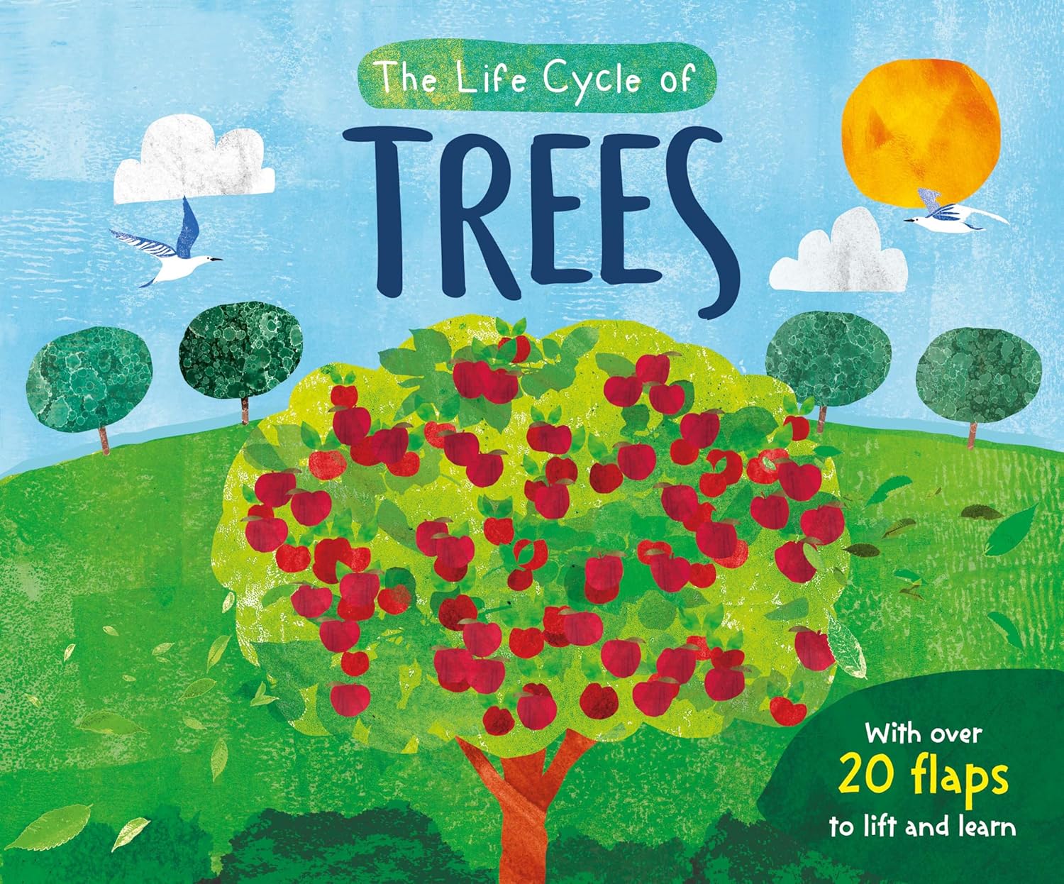 The Life Cycle of Trees (Life Cycle Board Book) : Moore, Nicola ...