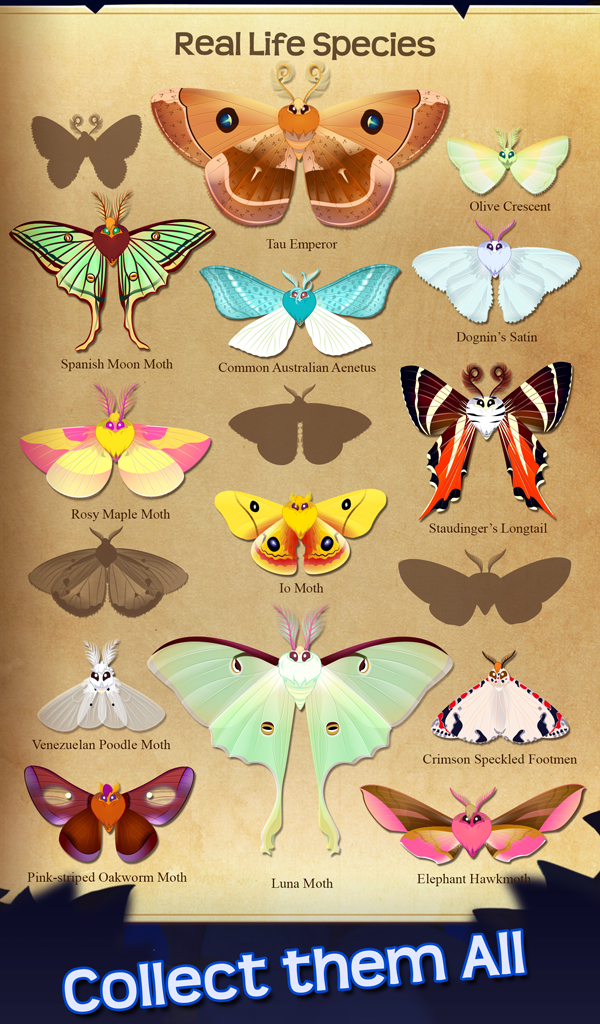 Flutter: Starlight:Amazon.com:Appstore for Android