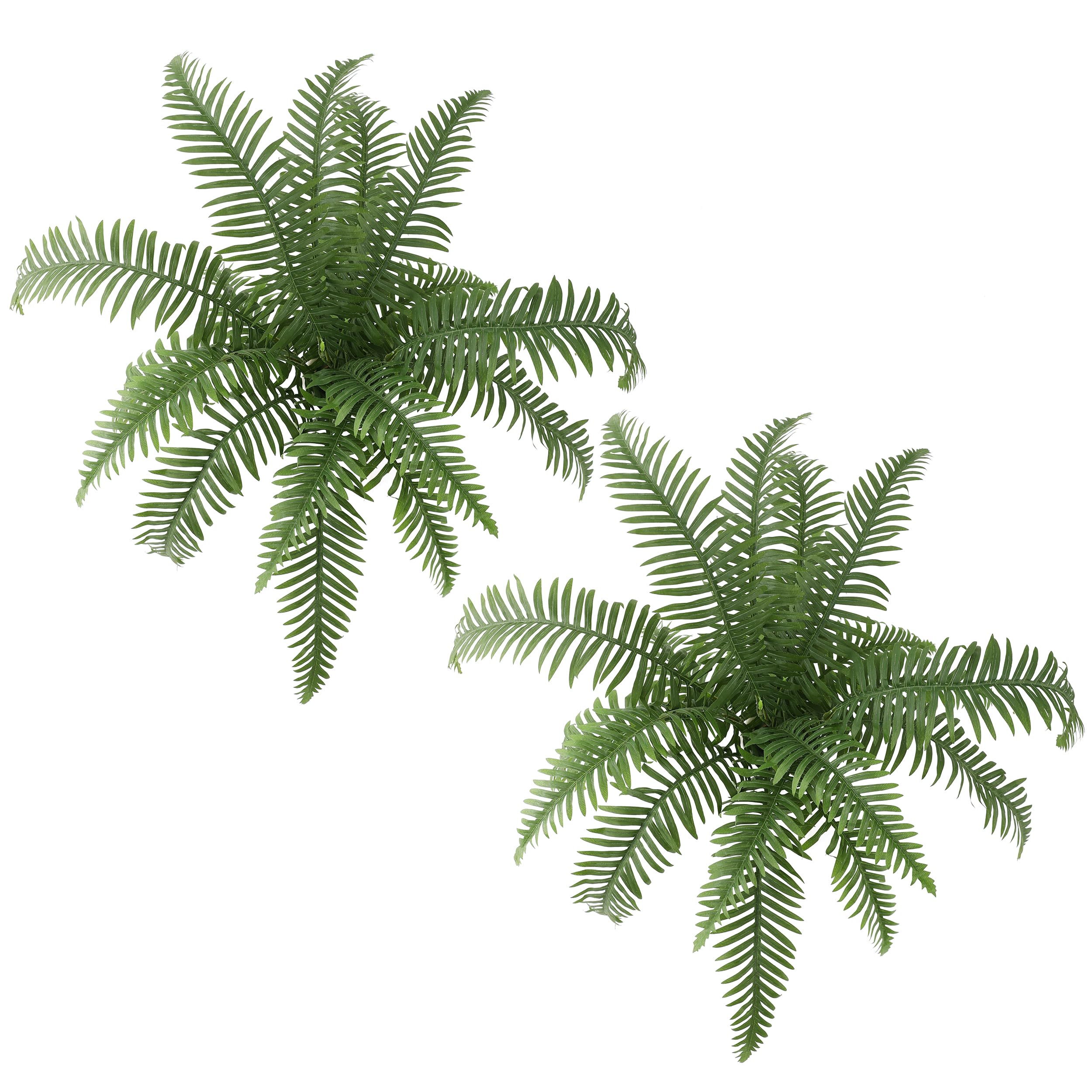 Amazon.com: Rosscer Artificial Boston Fern Bush, Set of 2 Bouquets 28 ...