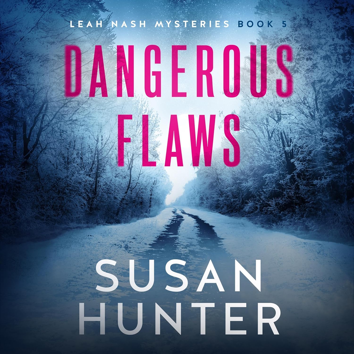 Amazon.com: Dangerous Flaws: Leah Nash Mysteries, Book 5 (Audible Audio ...