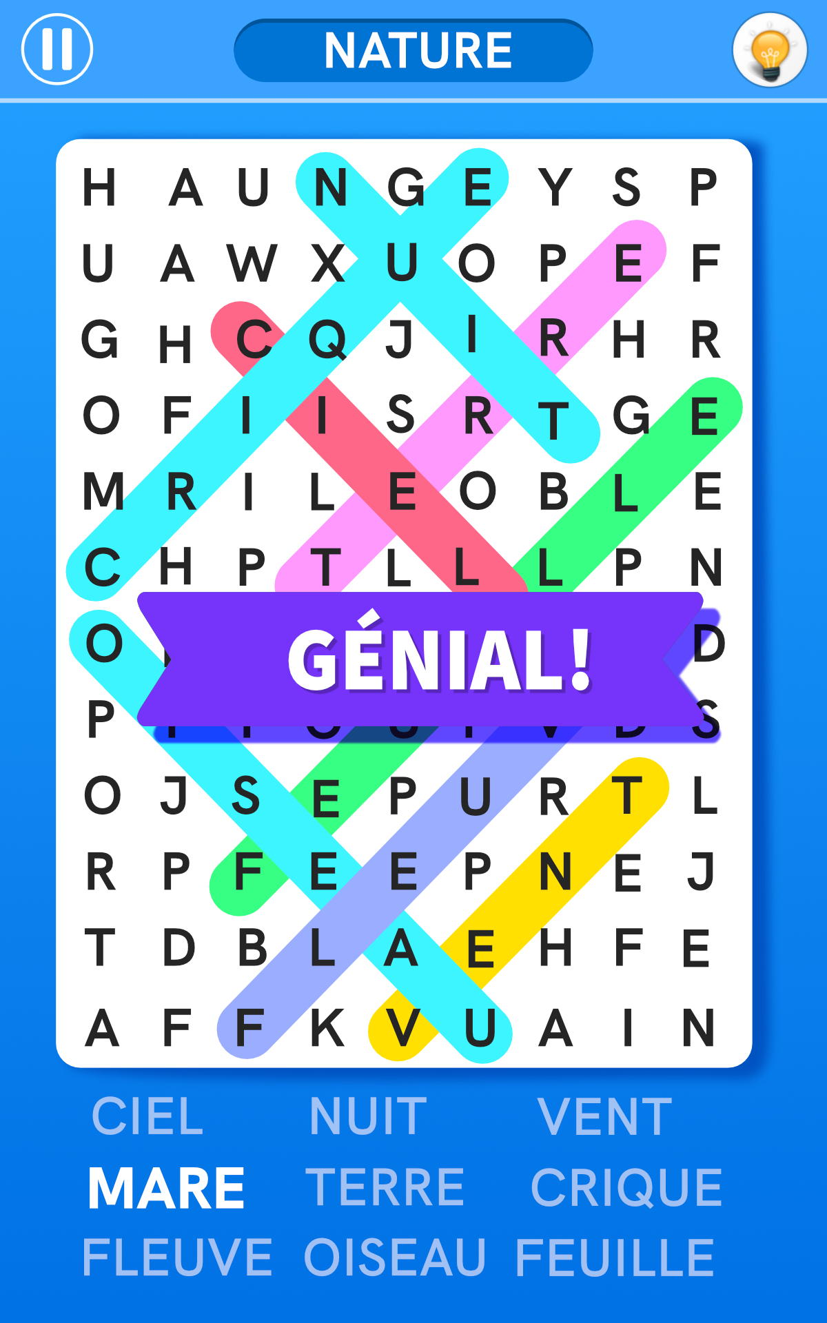 Mots mêlés - Jeu de mots : trouvez les mots cachés- Application sur l ...