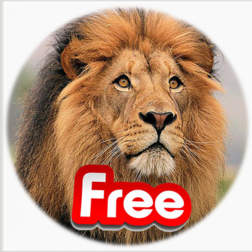 Wild animals sounds for kids - App on Amazon Appstore