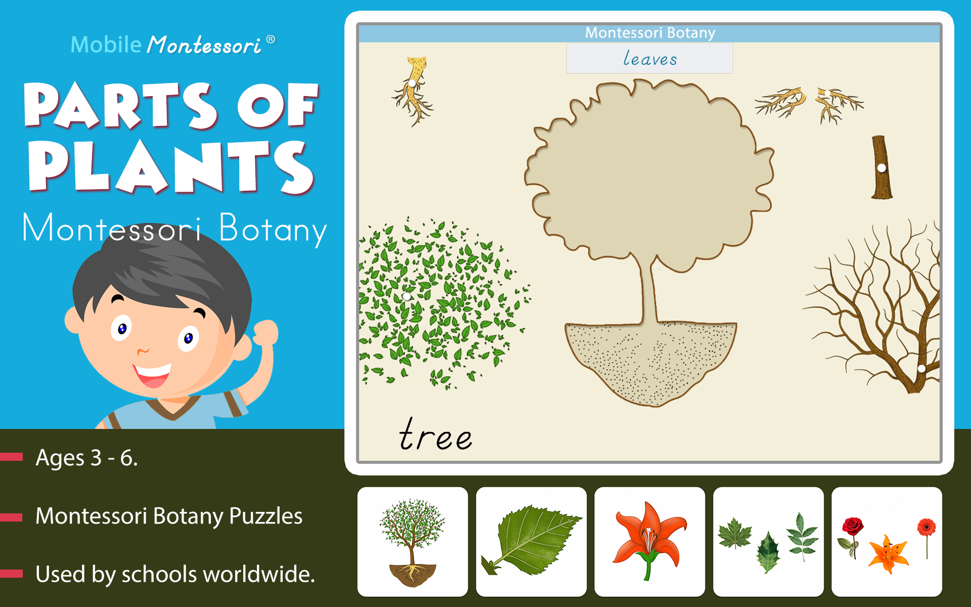 Montessori Botany - Parts of Plants - App on Amazon Appstore