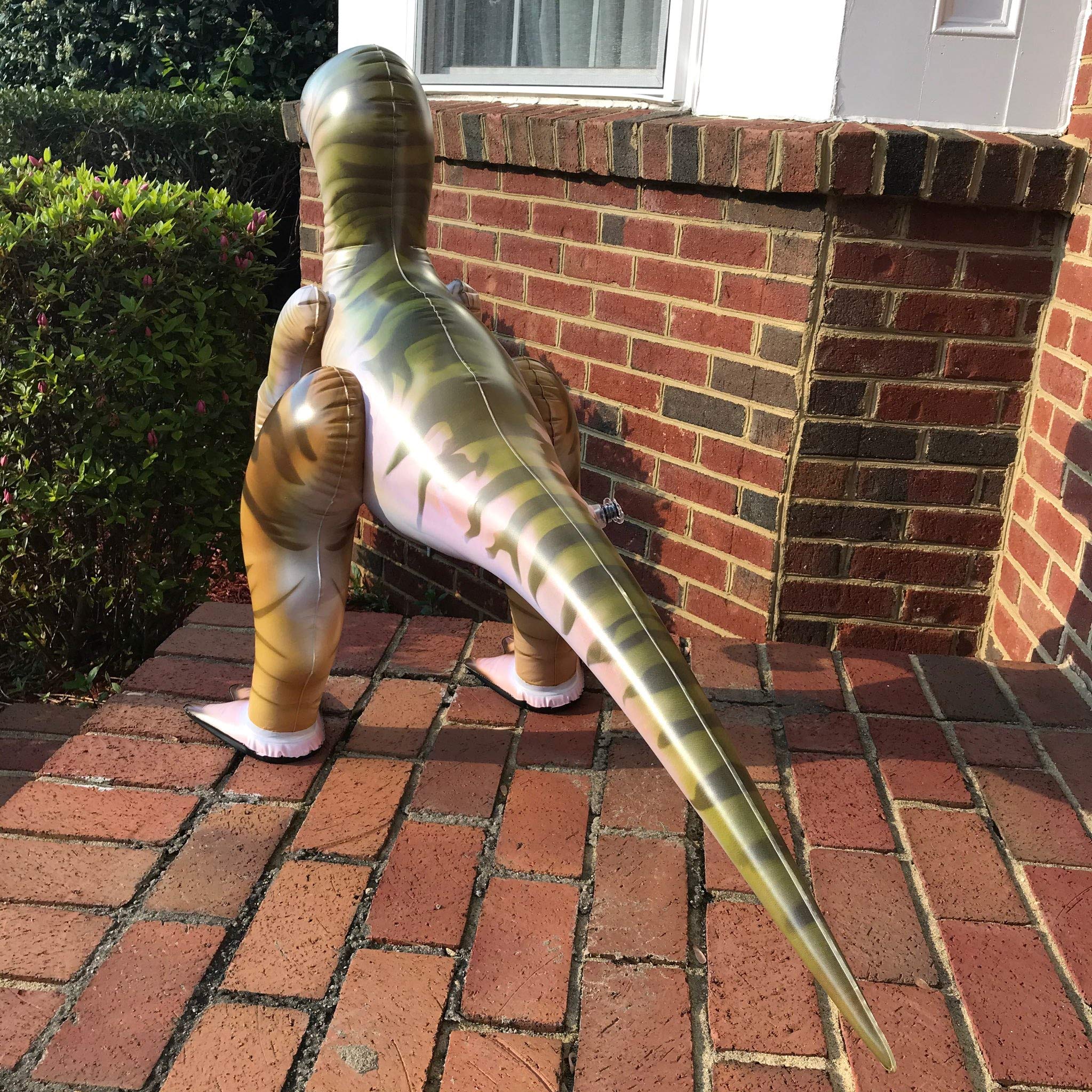 Jet Creations 4-pk Inflatable Dinosaurs Combo, T-rex Pteranodon ...