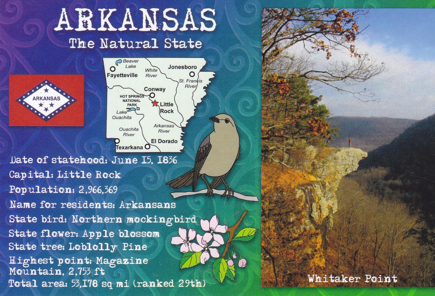 Amazon.com : STATES3ARK ARKANSAS, Whitaker Point - The Natural State ...