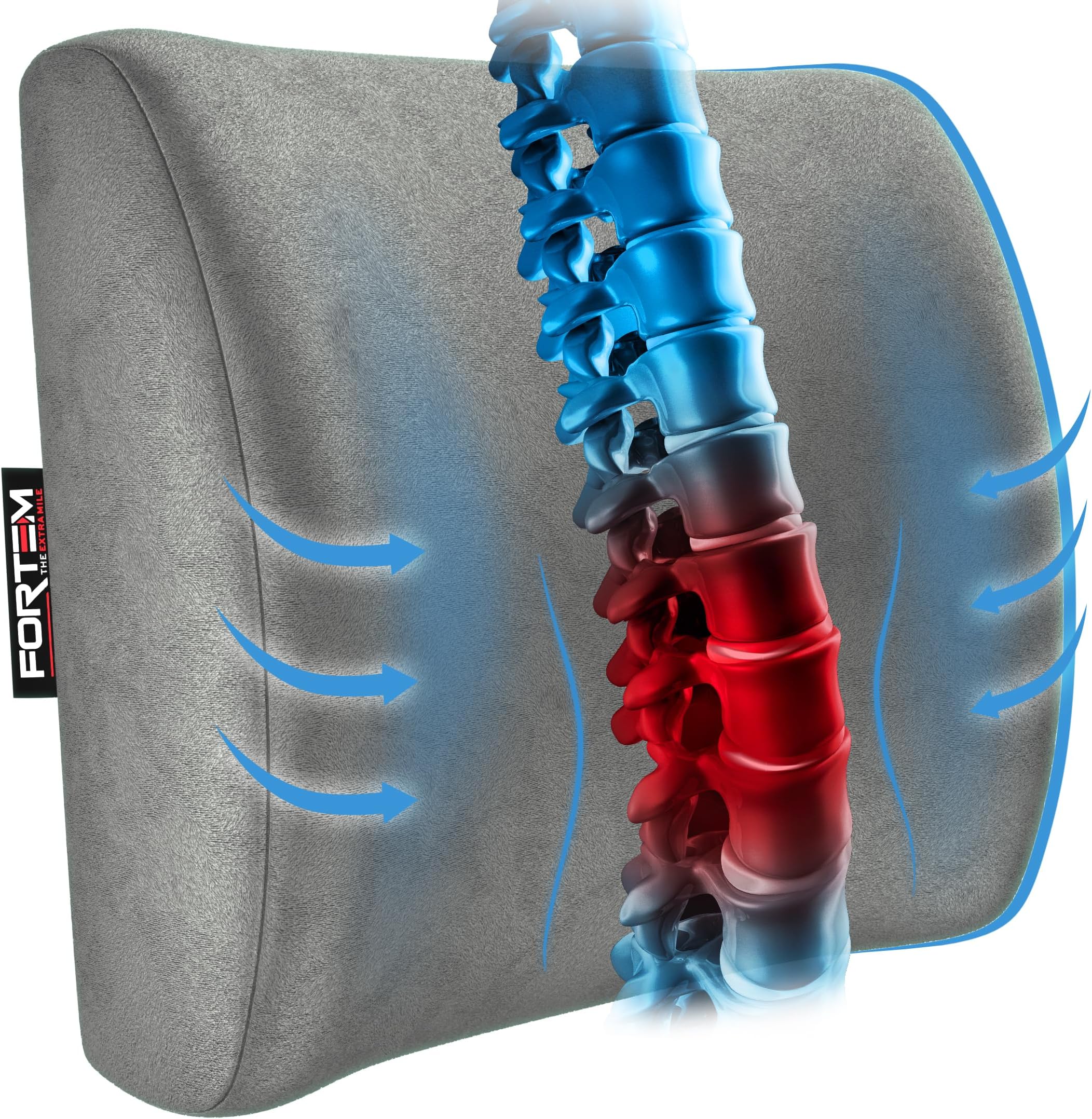 Supportiback Coussin Lombaire thérapeutique pour Posture — Oreiller ...