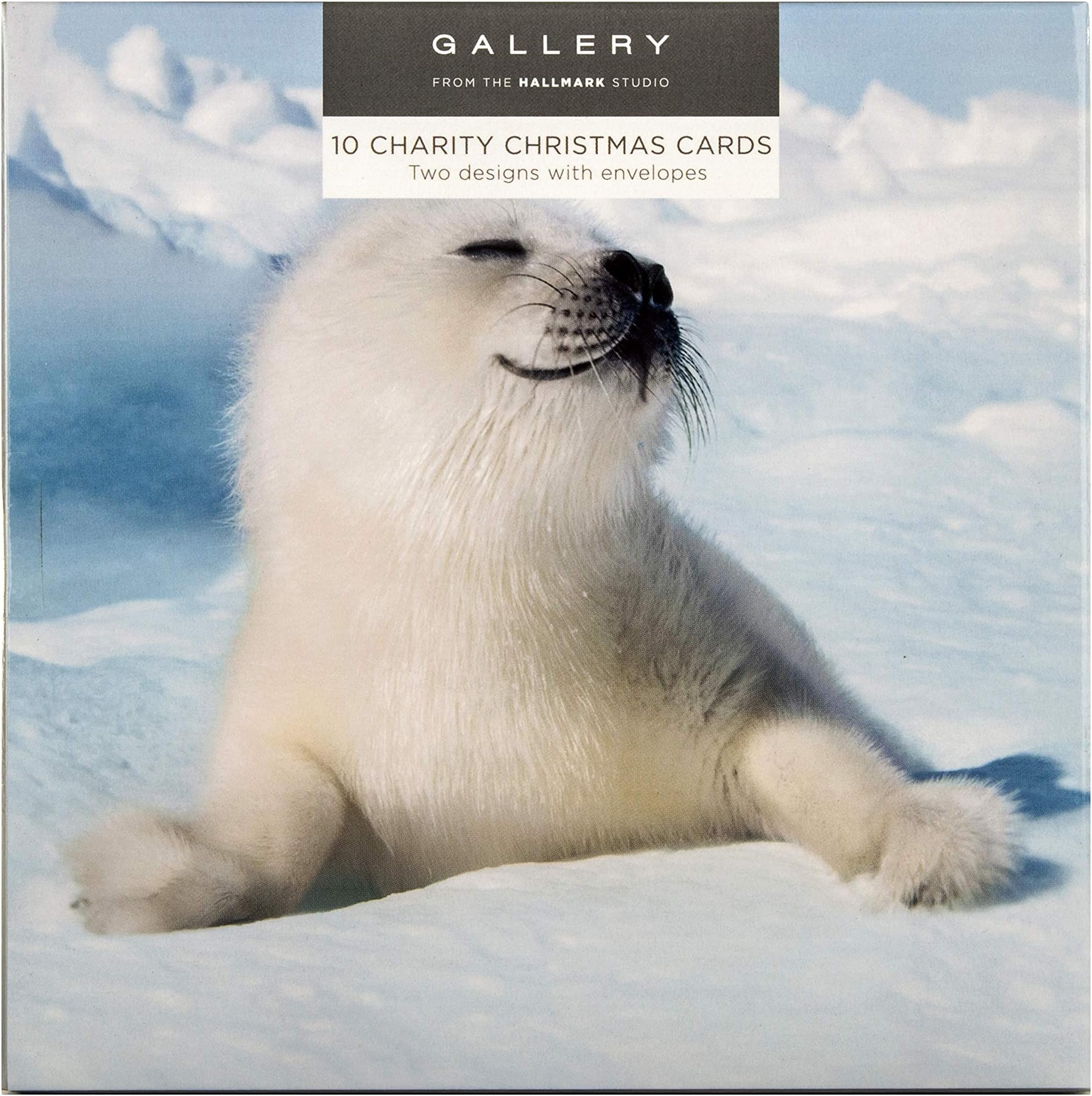 doodlecards Pack of 10 Mixed Charity Christmas Cards Wildlife. Printed ...