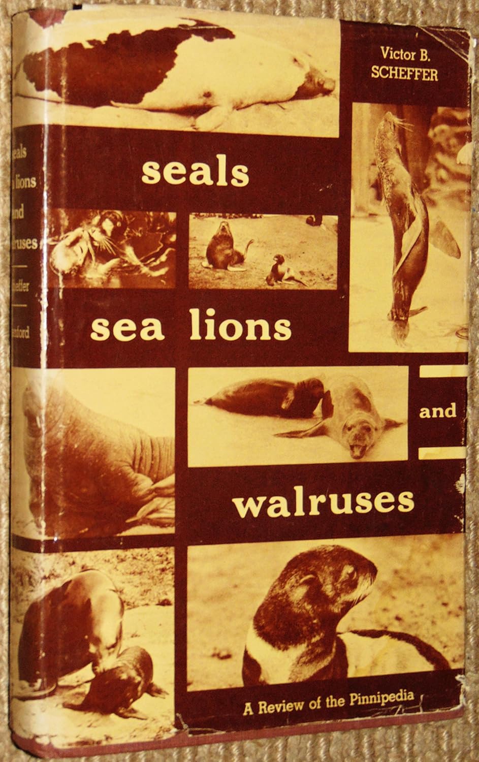Seals, sea lions and walruses: A review of the pinnipedia: Amazon.co.uk ...