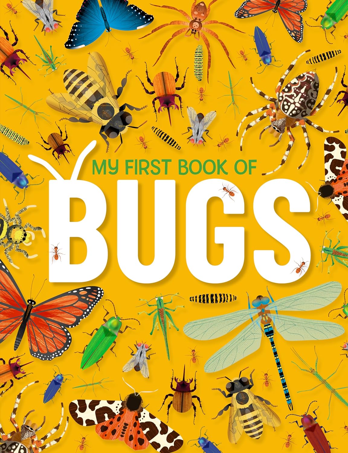 My First Book of Bugs: An Awesome First Look at Insects and Spiders (My ...