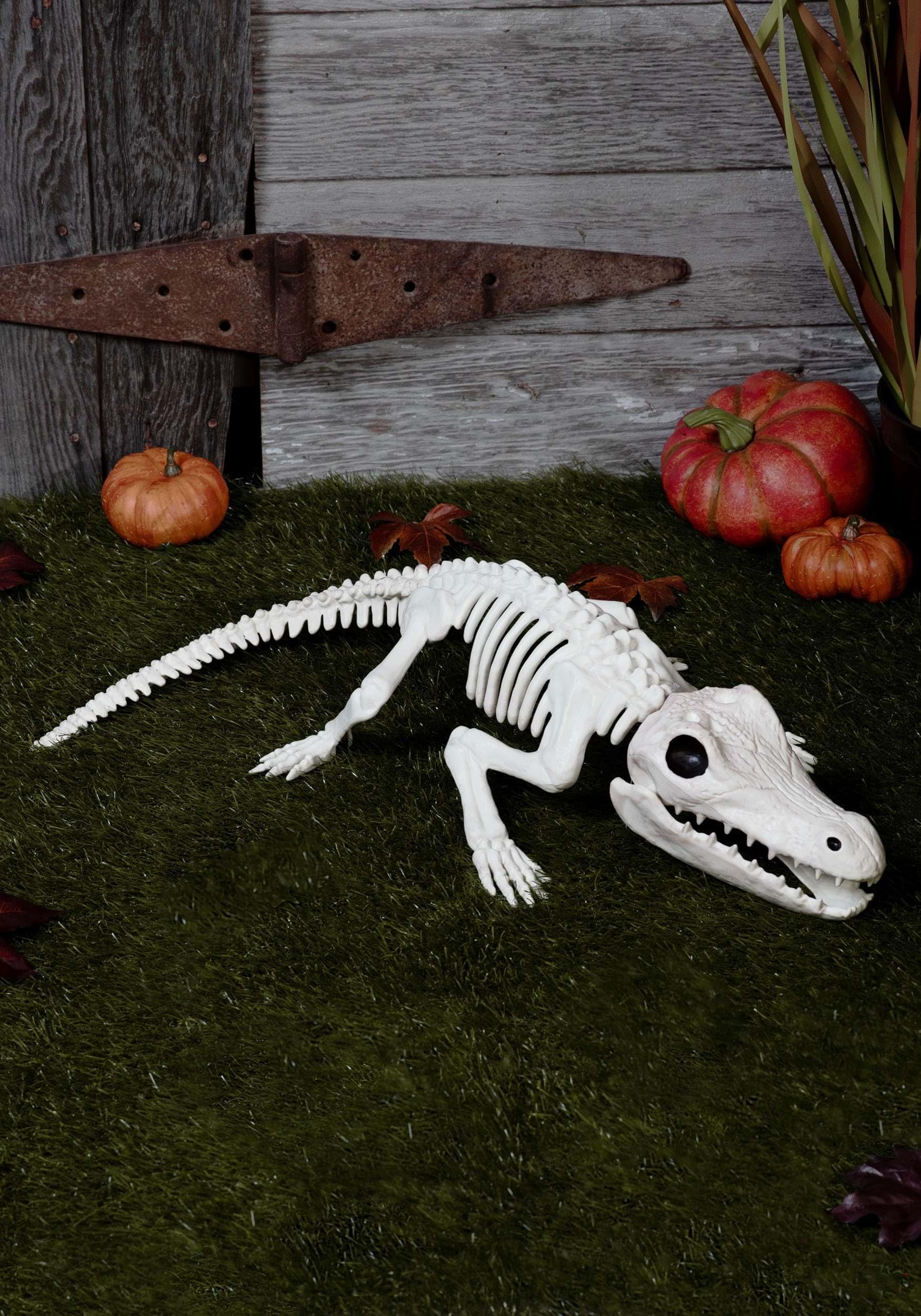 Amazon.com: Seasons 36" Snake 'Skeleton' : Home & Kitchen
