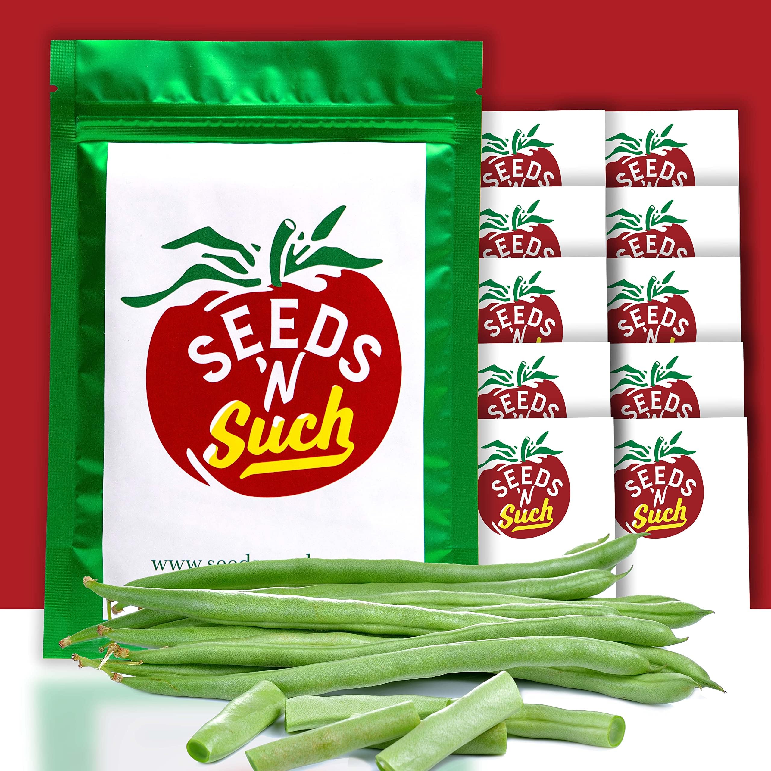 Amazon.com : Seeds N Such 2395 Hand Selected Spring Vegetable Garden ...