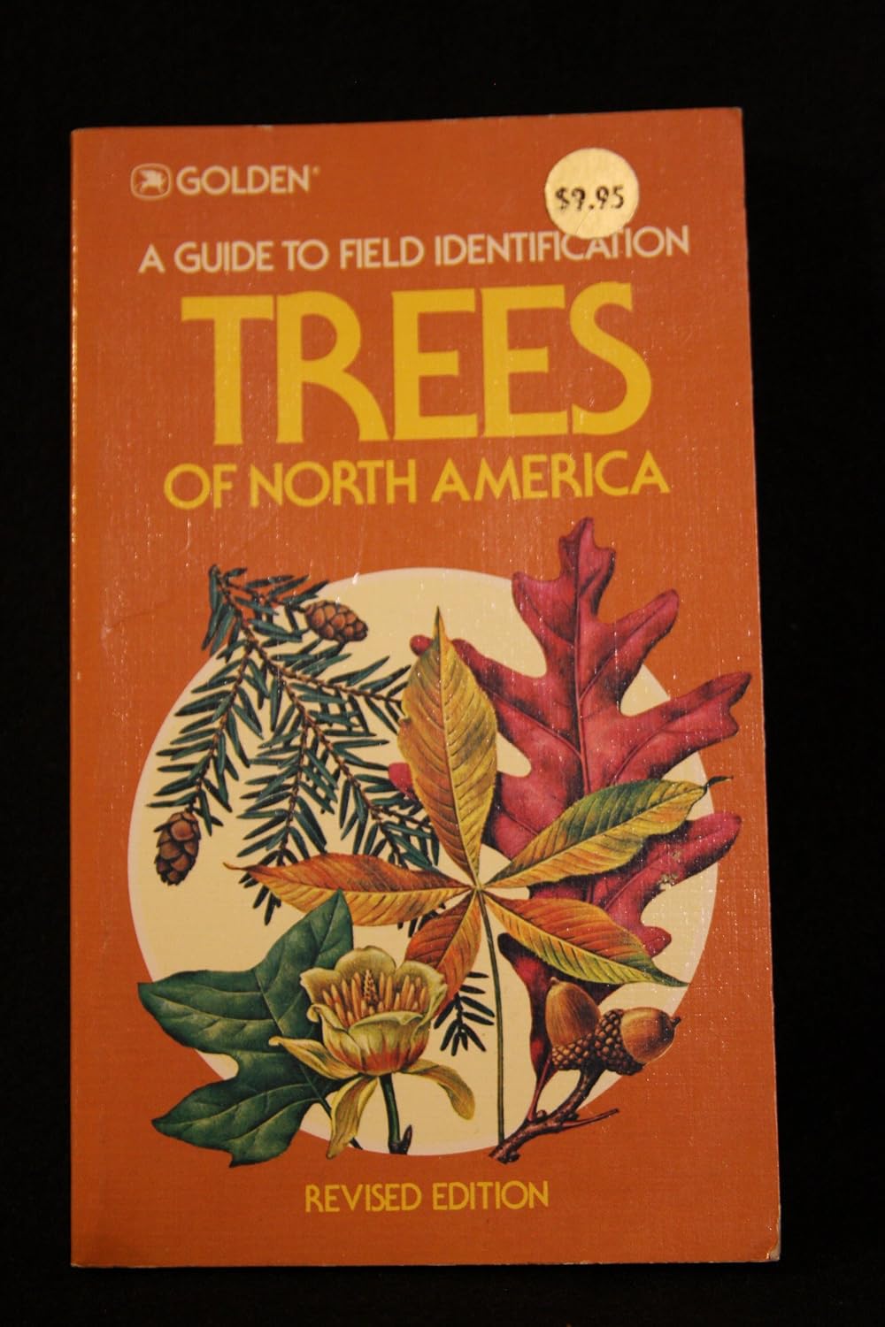 Amazon.fr - A Guide to Field Identification; Trees of North Am - Livres