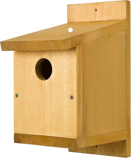 Amazon.co.uk: bird boxes