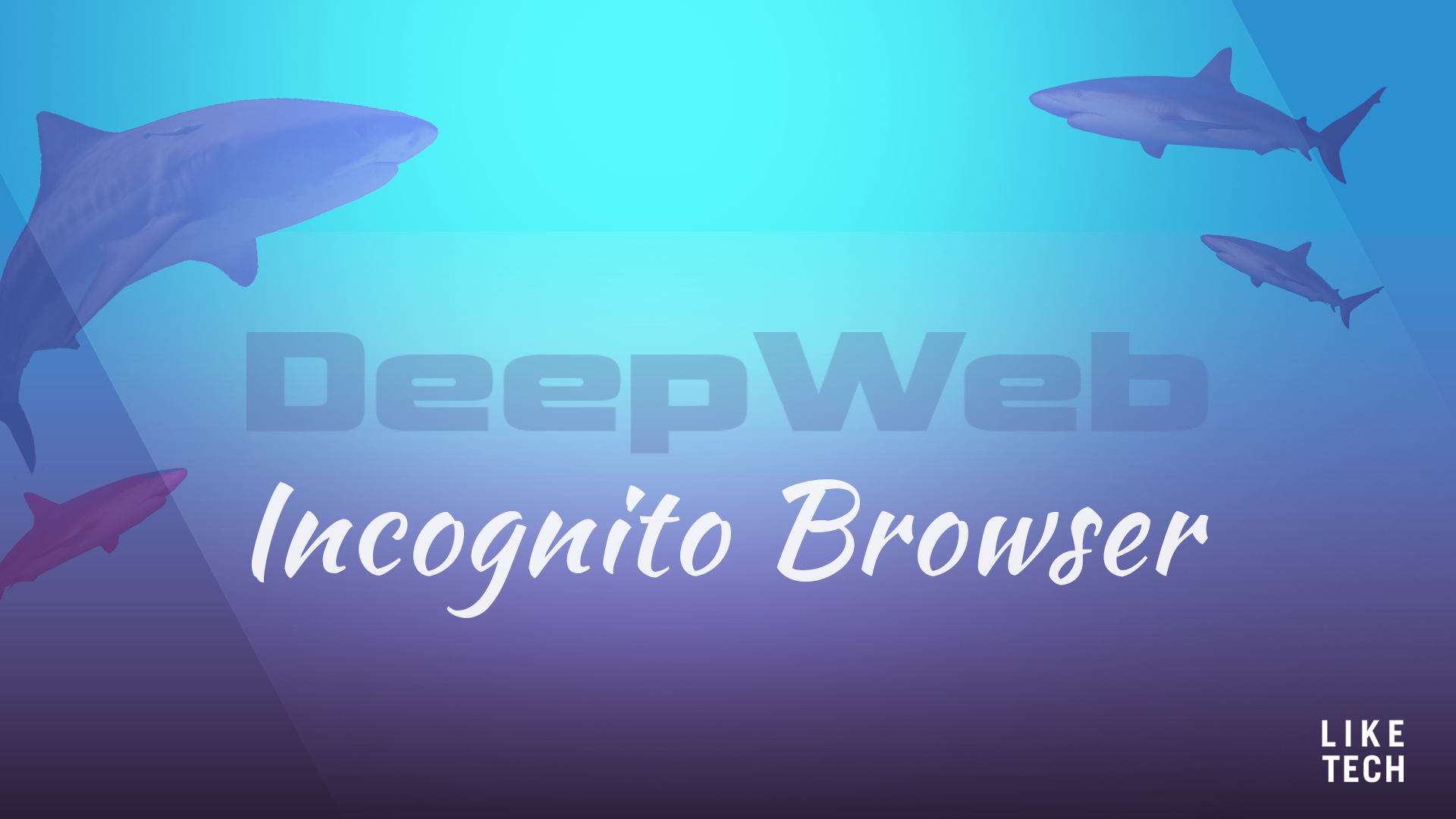 Deep Web Incognito Browser - App on the Amazon Appstore