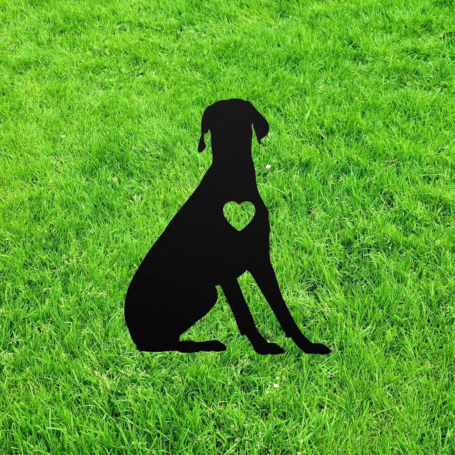 Amazon.com: nuepzkt Personalized German Shorthaired Pointer Garden ...