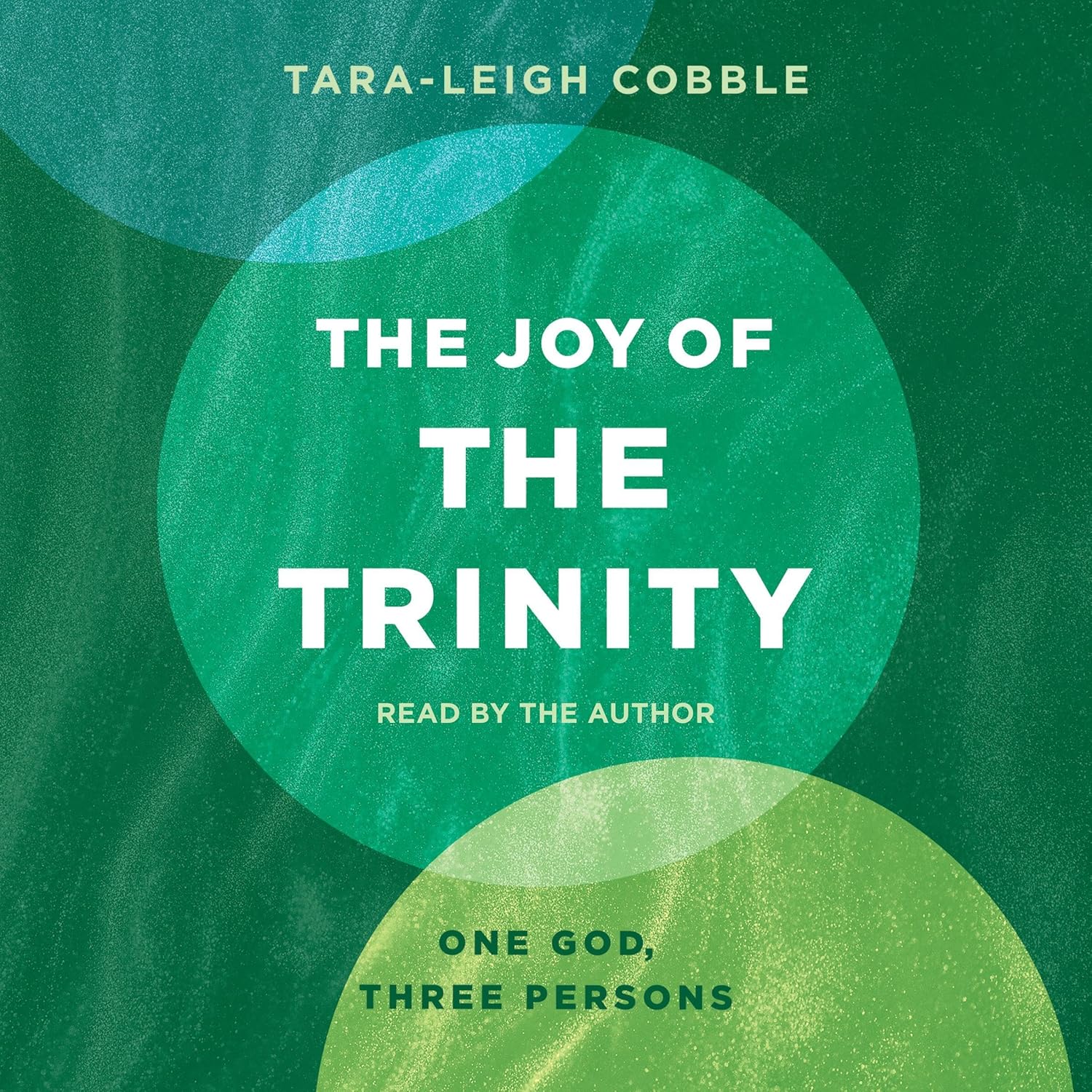Amazon.com: Joy of the Trinity: One God, Three Persons (Audible Audio ...