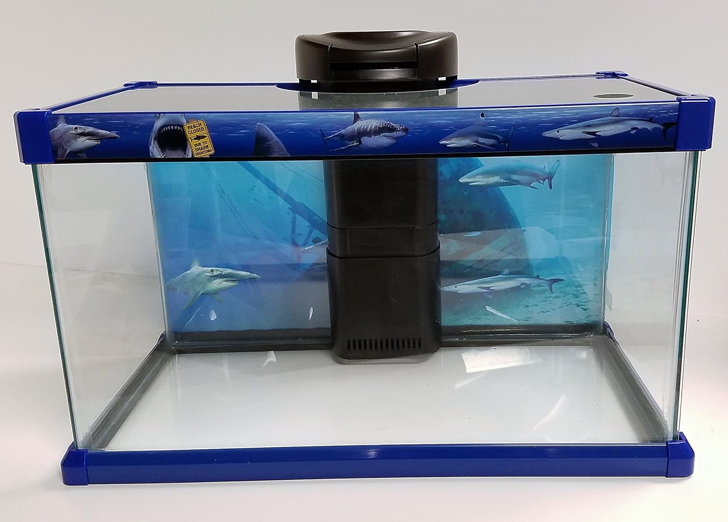 Amazon.com : Elive Decorative Shark LED Aquarium Kit - 10 Gallon : Pet ...