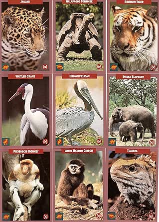 ENVIRONMENTAL ACTION CARDS 1992 MUNDUS AMICUS PARTIAL CARD SET 48/50 CH ...