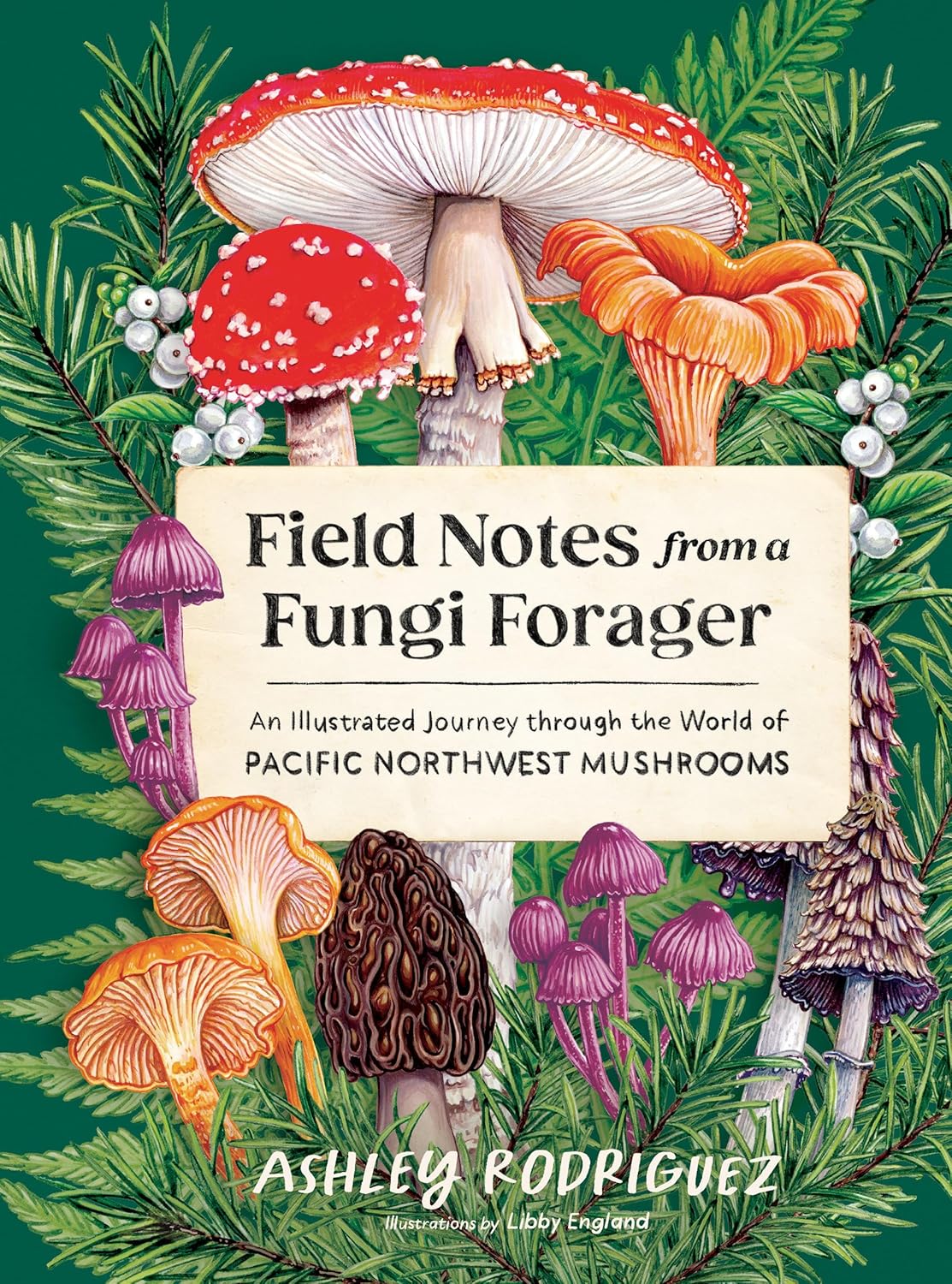 Field Notes from a Fungi Forager: An Illustrated Journey Through the ...