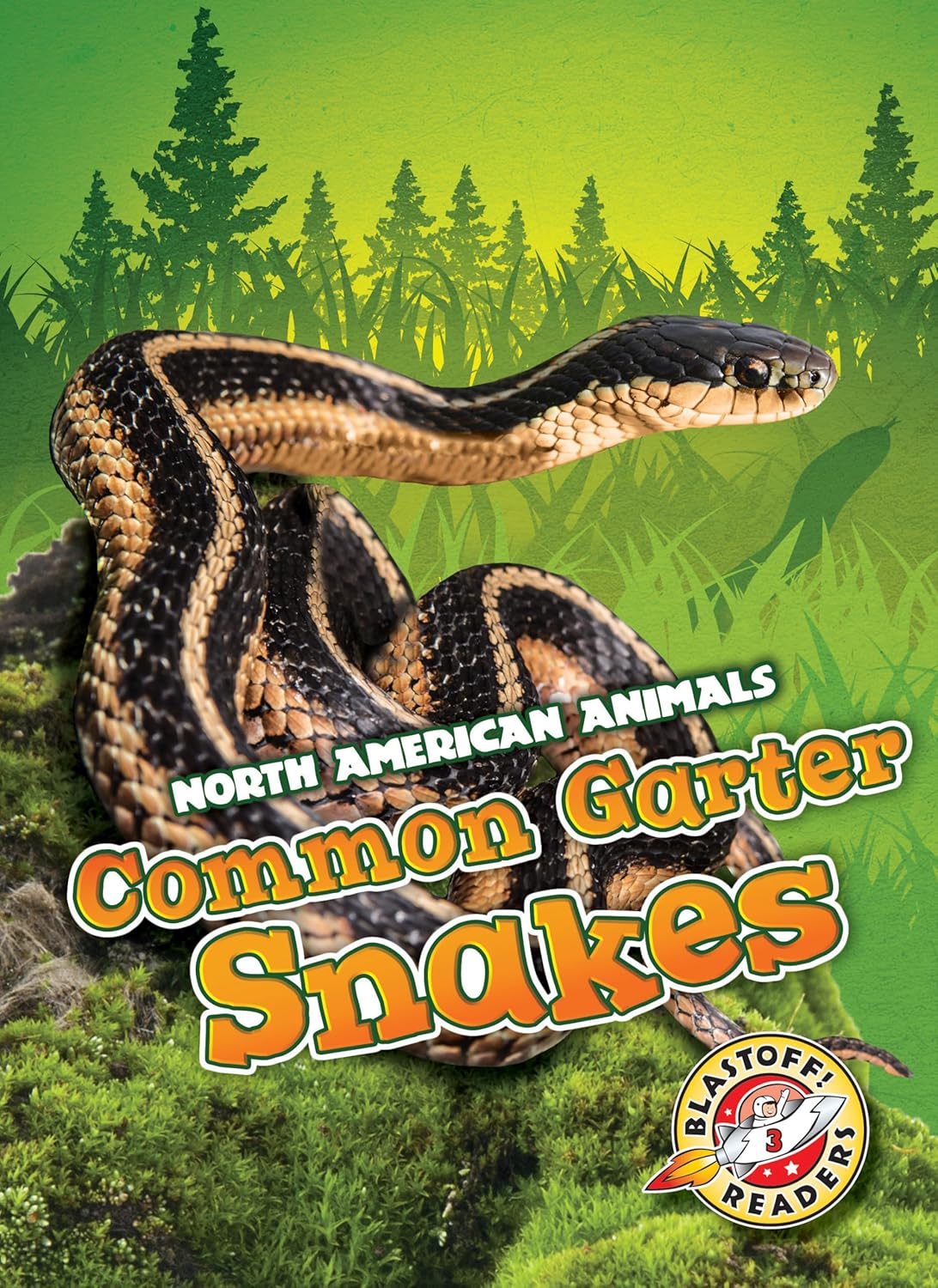 Common Garter Snakes (North American Animals): Rebecca Sabelko ...