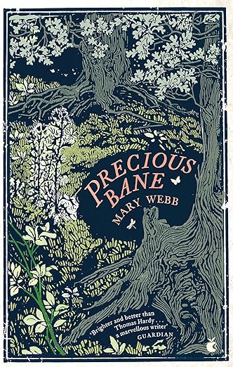 Precious Bane (Virago Modern Classics): Amazon.co.uk: Webb, Mary ...