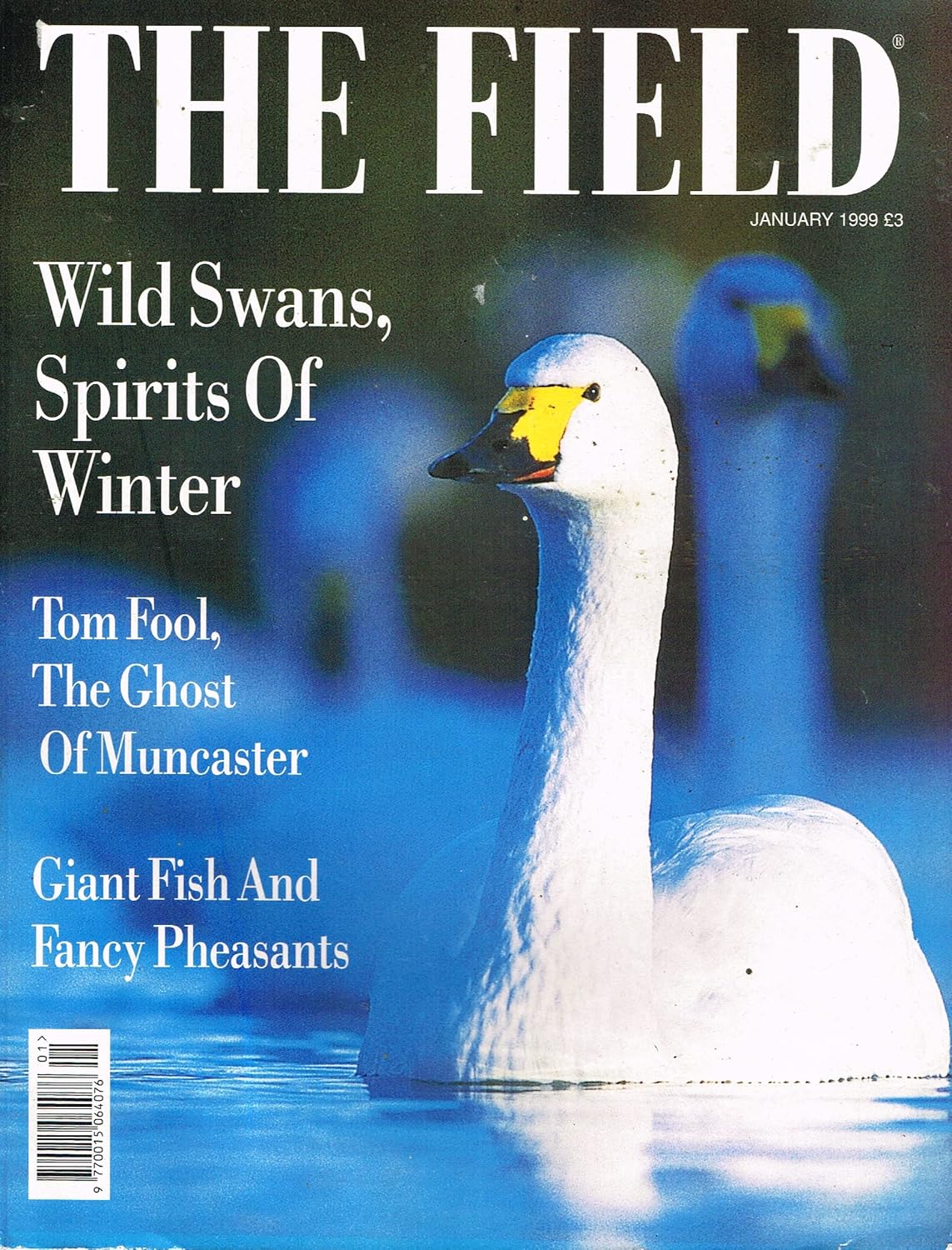 The Field magazine, January 1999: Wild swans, winter, Tom Fool, the ...