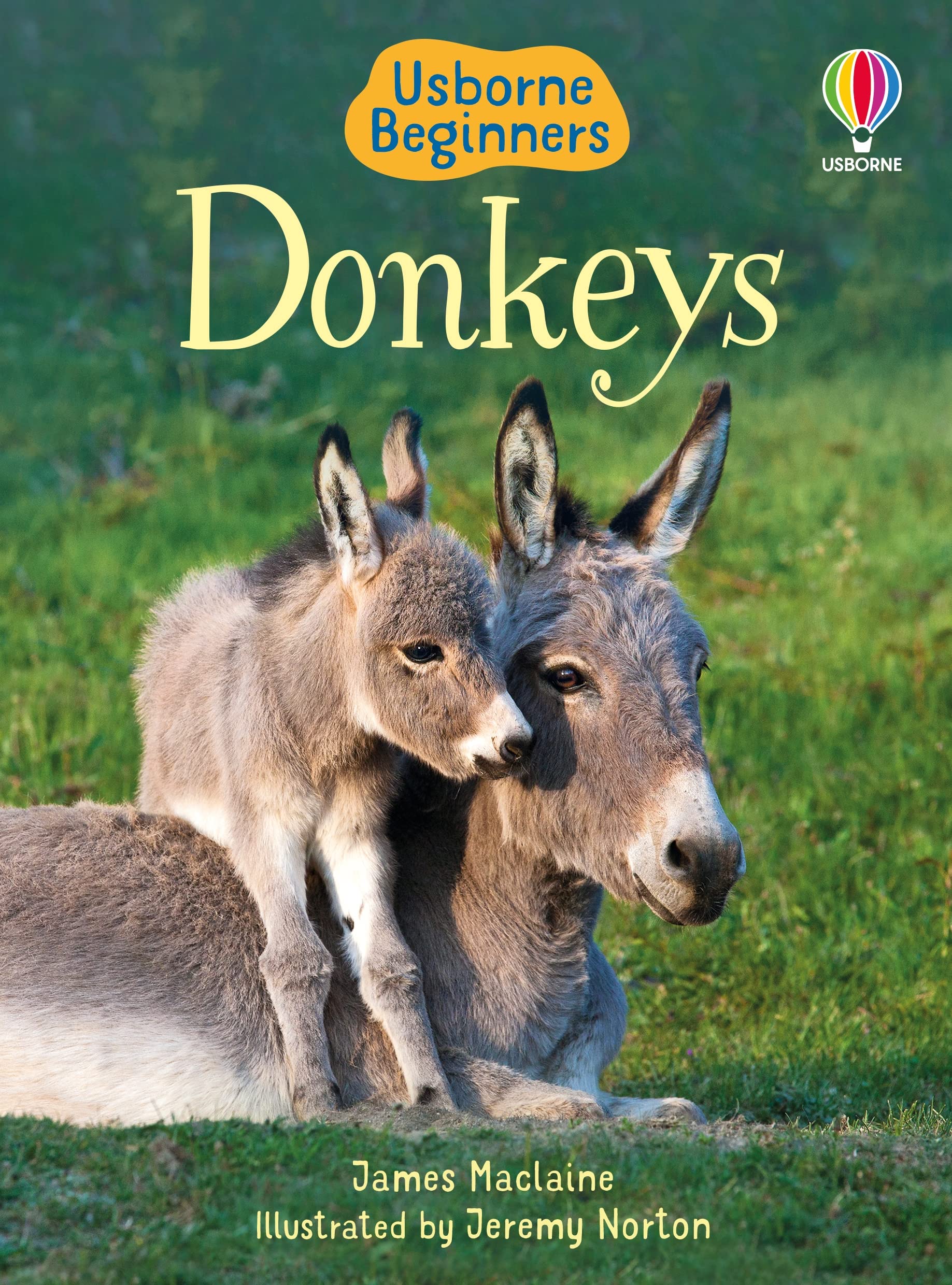 Donkeys (Beginners) (Beginners Series): James MacLaine: 9781474921817 ...