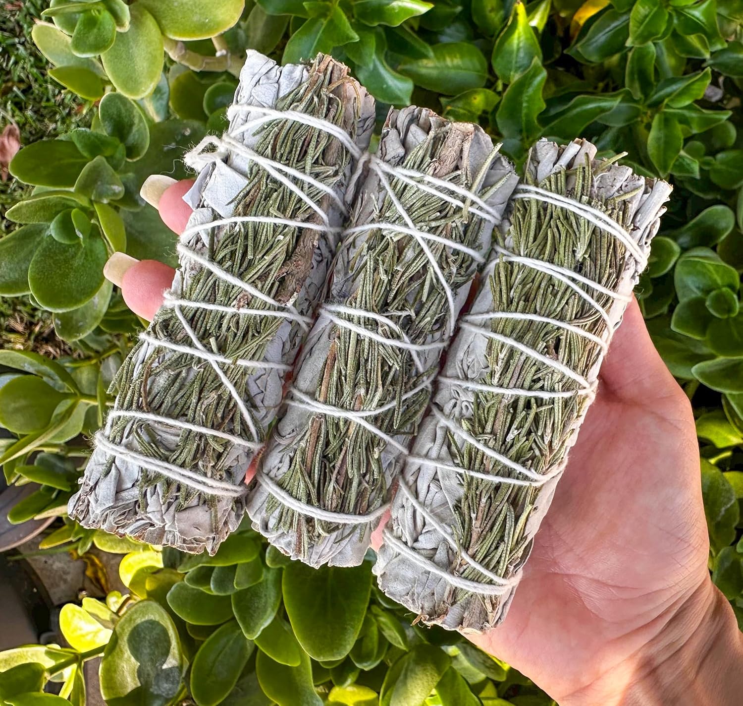 Amazon.com: Set of 3 Rosemary and Sage Smudge Sticks, Purification and ...