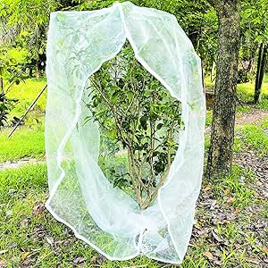 Amazon.com : BKDMZZMY Garden Netting with Drawstring and Zipper, 5.9x6.6FT Fruit Tree Netting ...