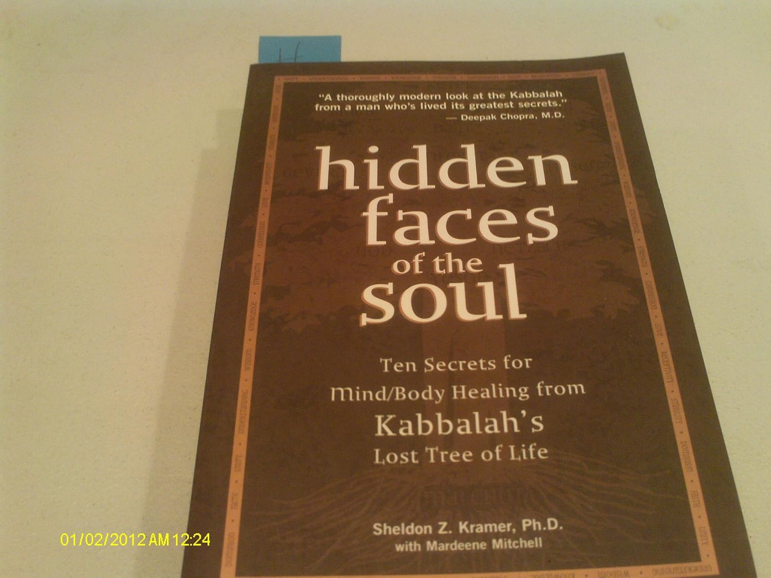 Hidden Faces Of The Soul: Kramer, Sheldon Z.: 9781580623353: Amazon.com ...