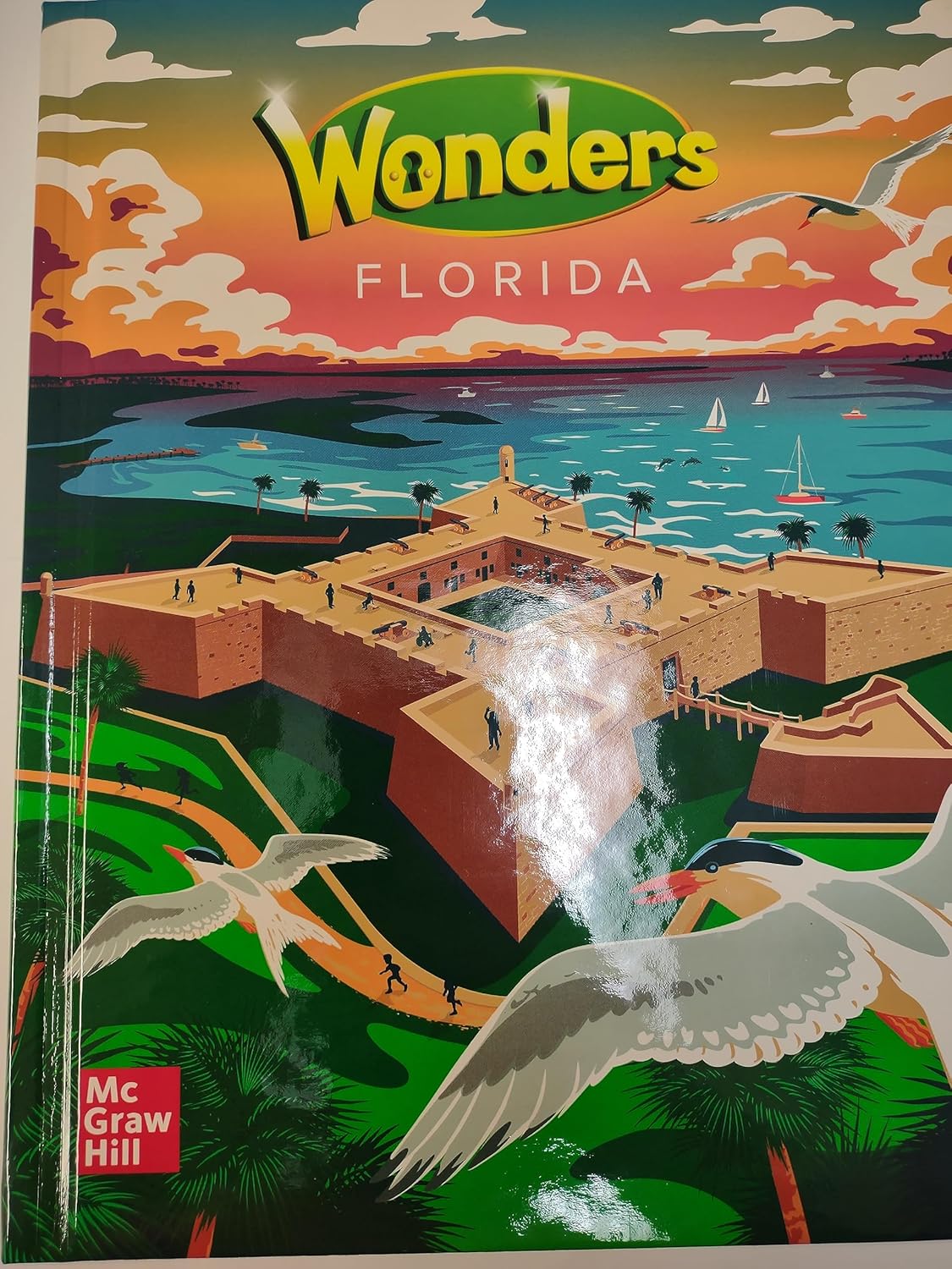 Florida Wonders Grade 4 Literature Anthology: McGrawHill: 9781264183555 ...