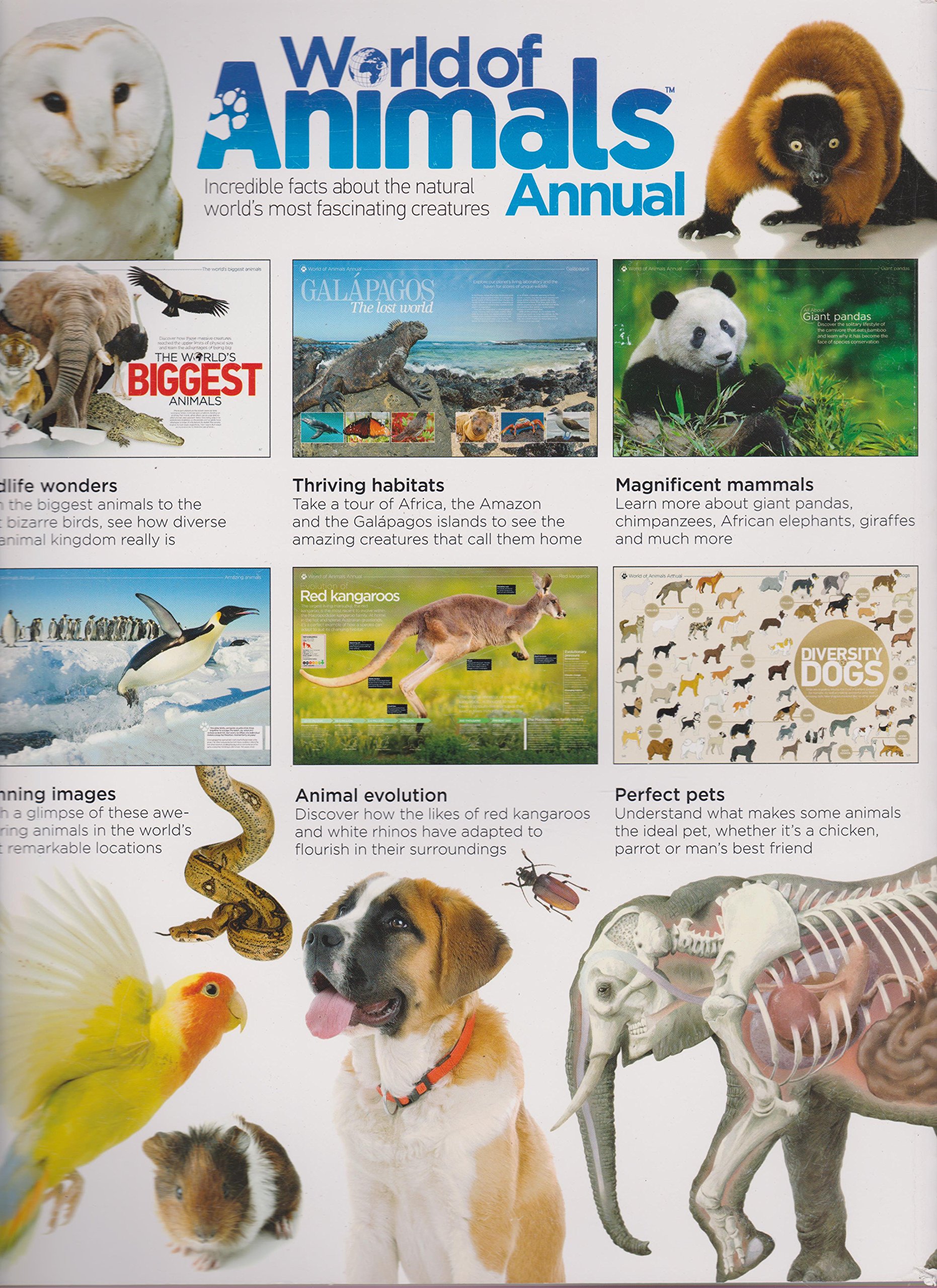Animals Creatures 2015