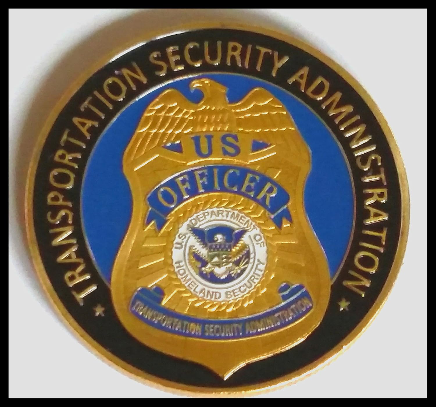 Amazon.com: TSA Transportation Security Administration Challenge Art ...
