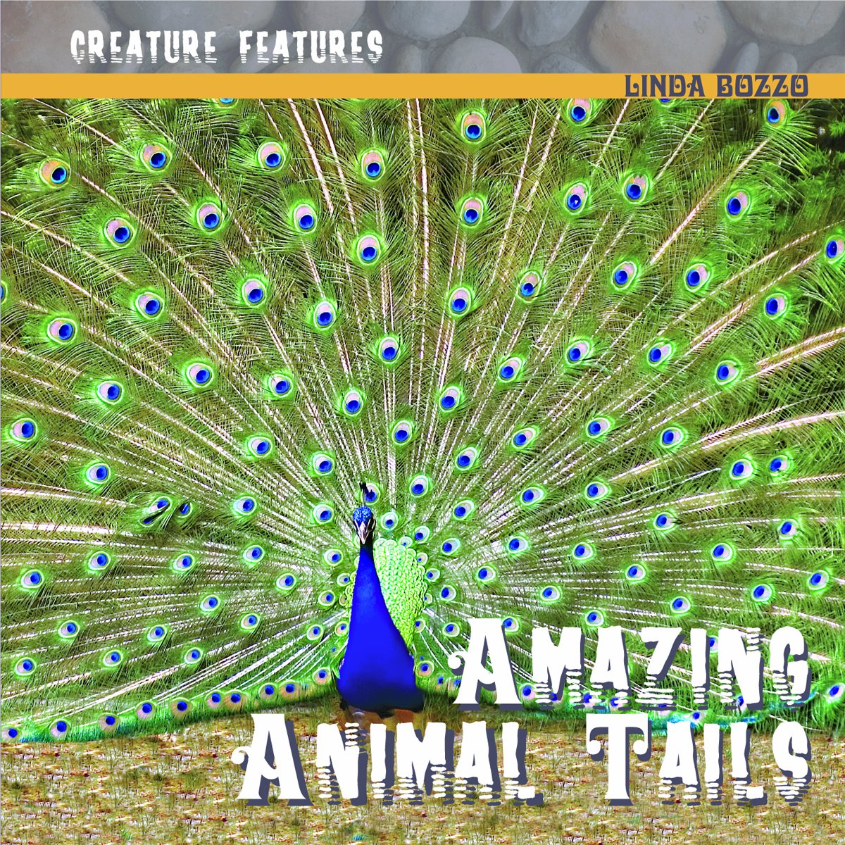Amazing Animal Tails (Creature Features): Bozzo, Linda: 9781404241718 ...