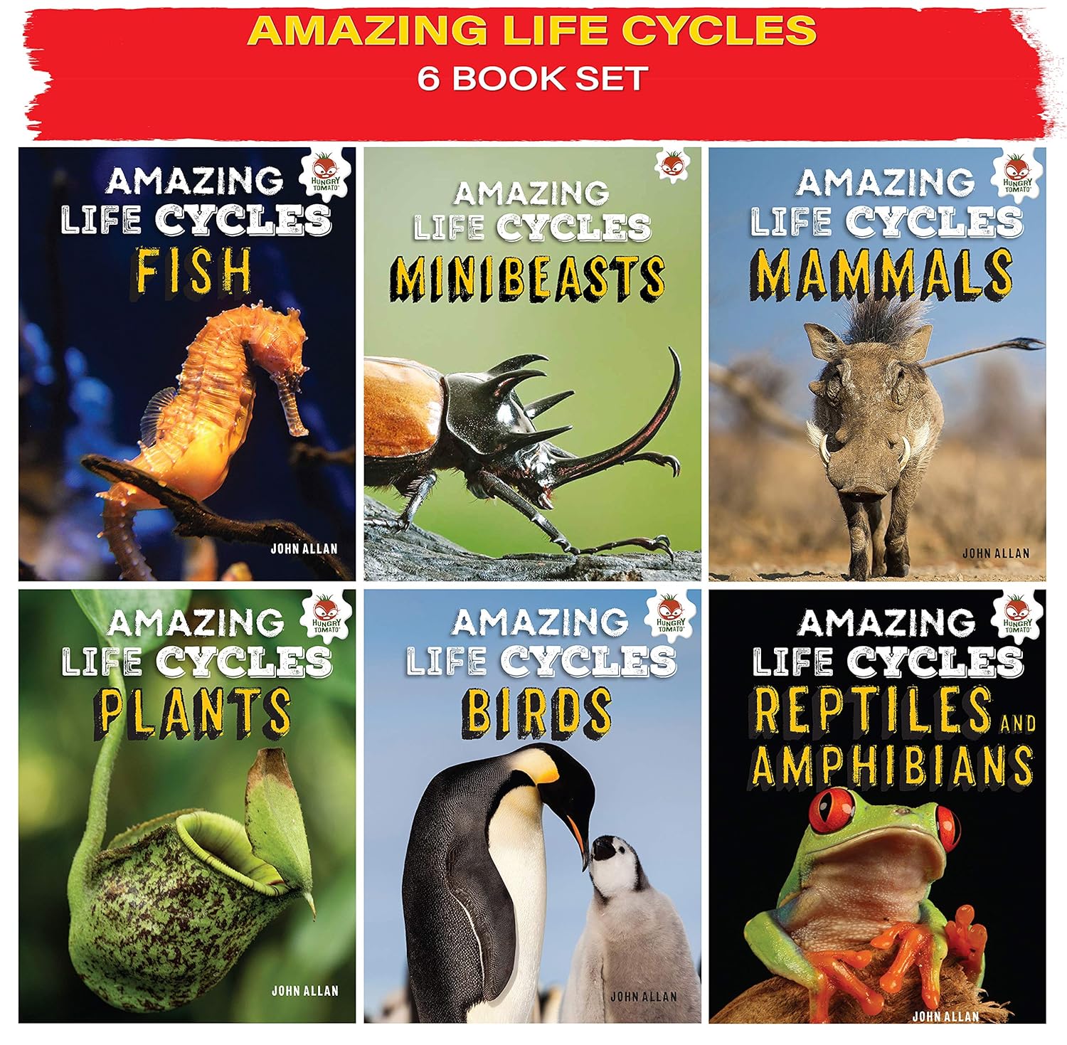 AMAZING LIFE CYCLES 6 PACK : Buy Online at Best Price in KSA - Souq is ...
