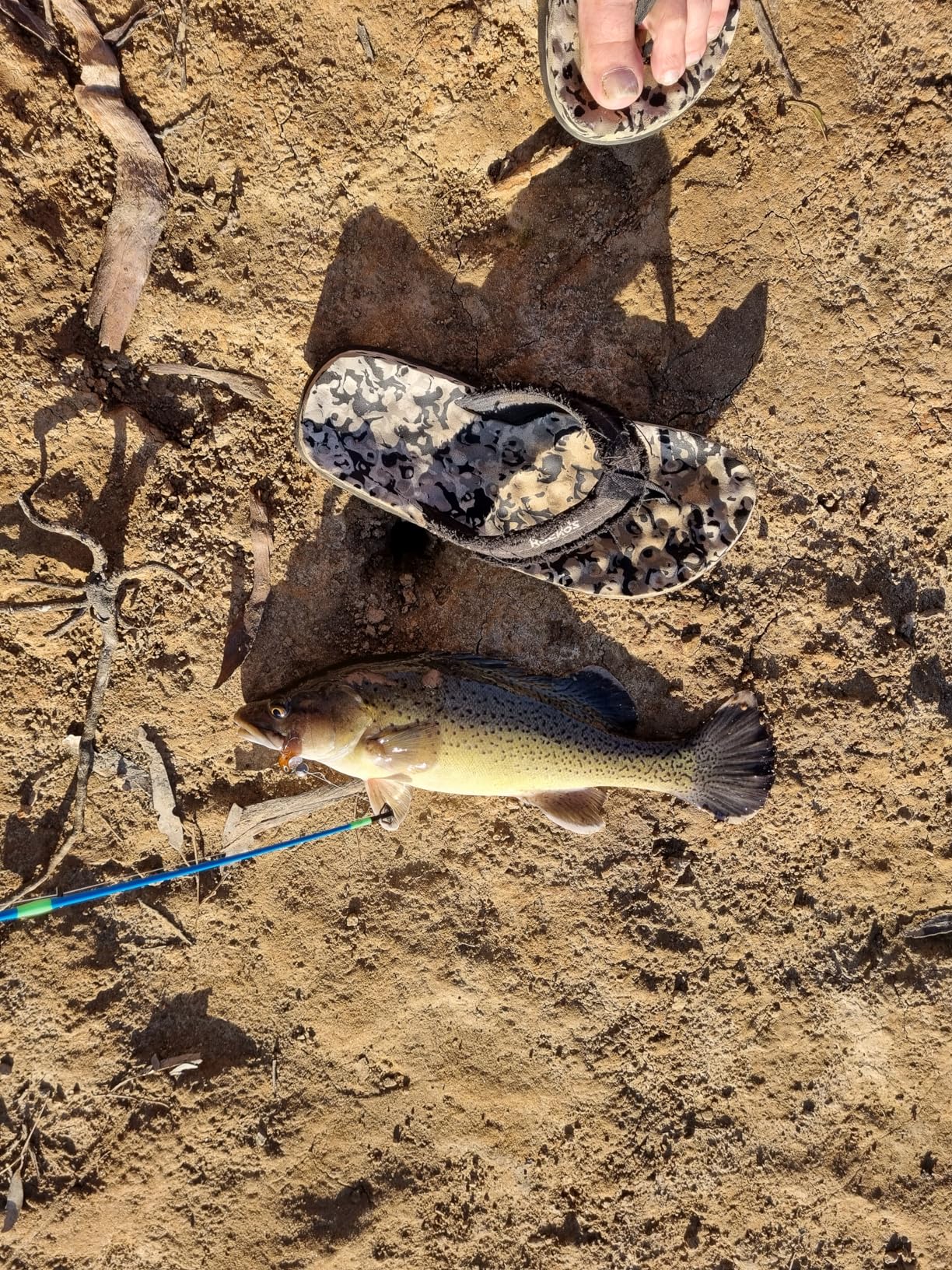 9PCS Fishing Lures for Bream Bass Trout Redfin Perch Cod Flathead ...